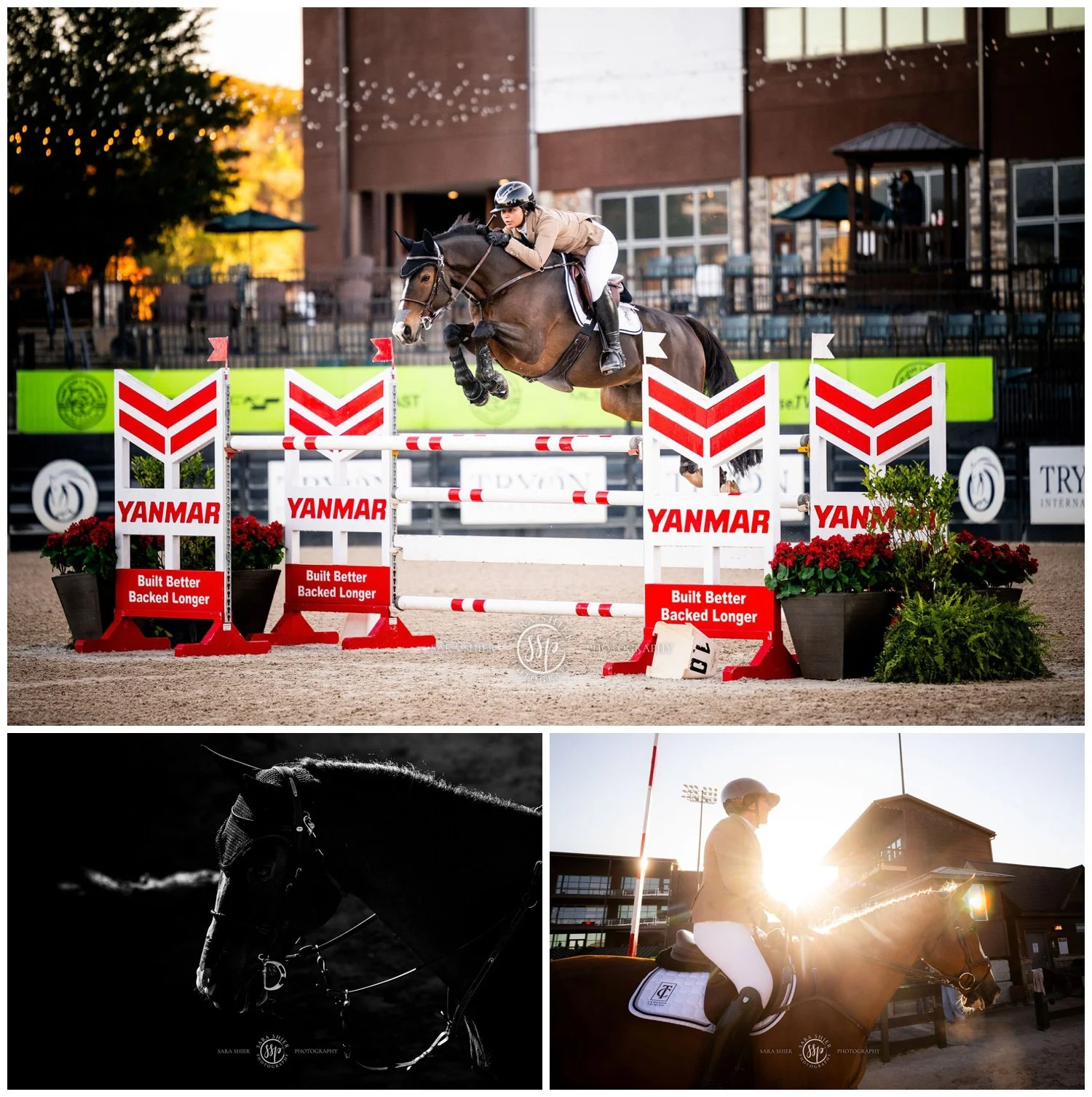 Cameron Trimino | Tryon International Equestrian Center | Mill Spring ...