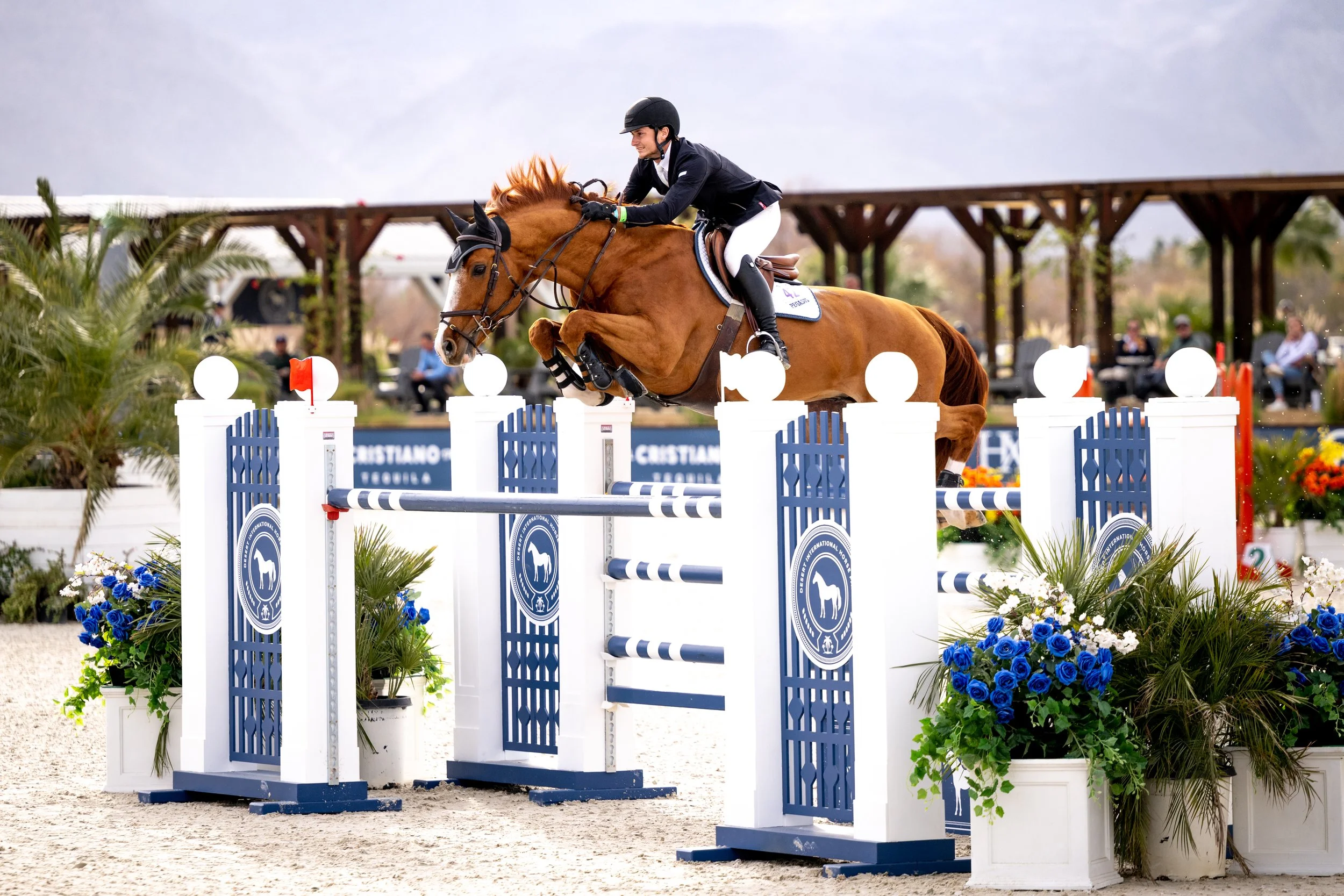 Horse Show Jumping Photography