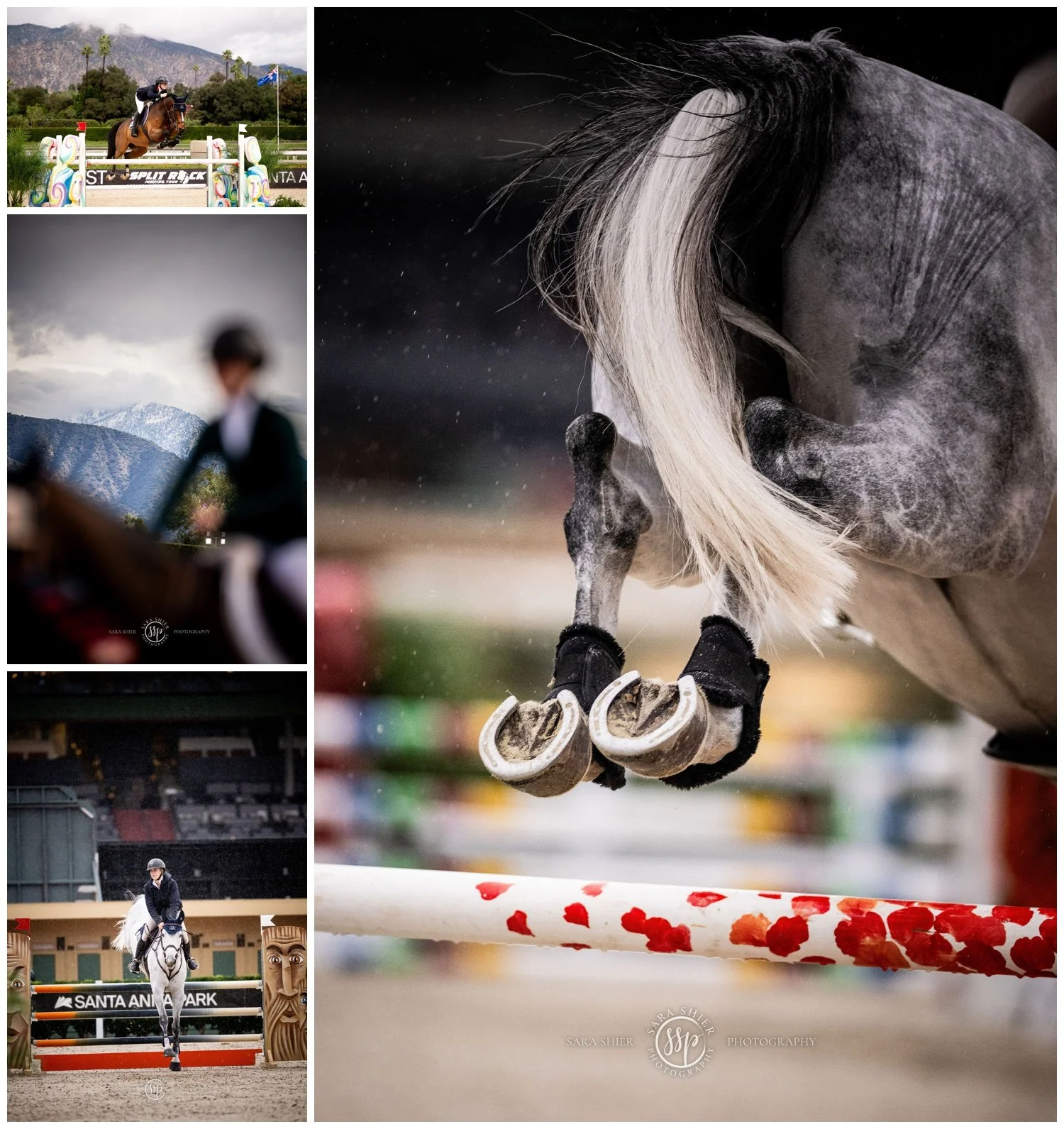 Allyn Marie Creel | Split Rock Santa Anita | Santa Anita Park | Arcadia ...