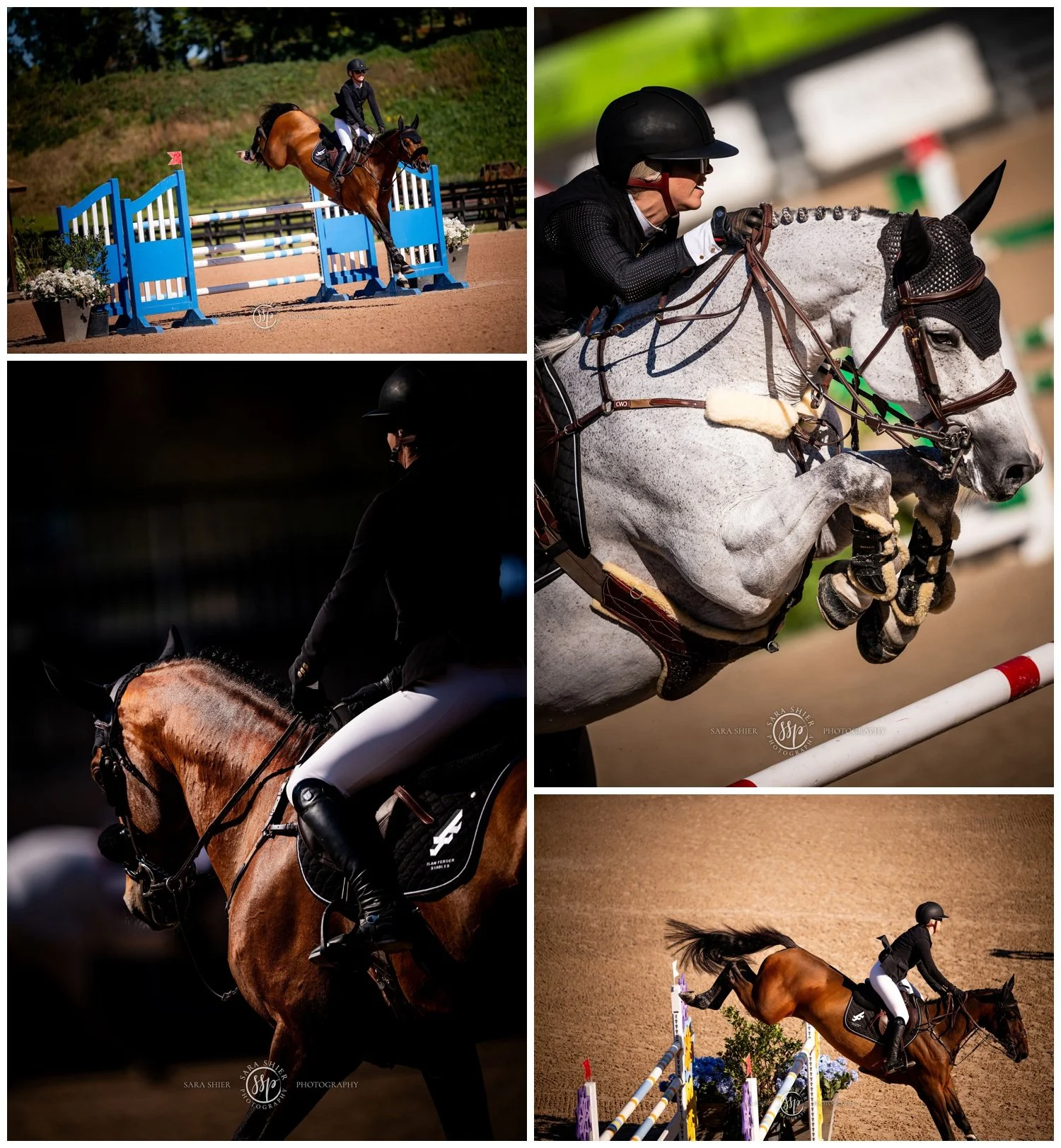Mary Frances Looke | Tryon International Equestrian Center | Mill ...