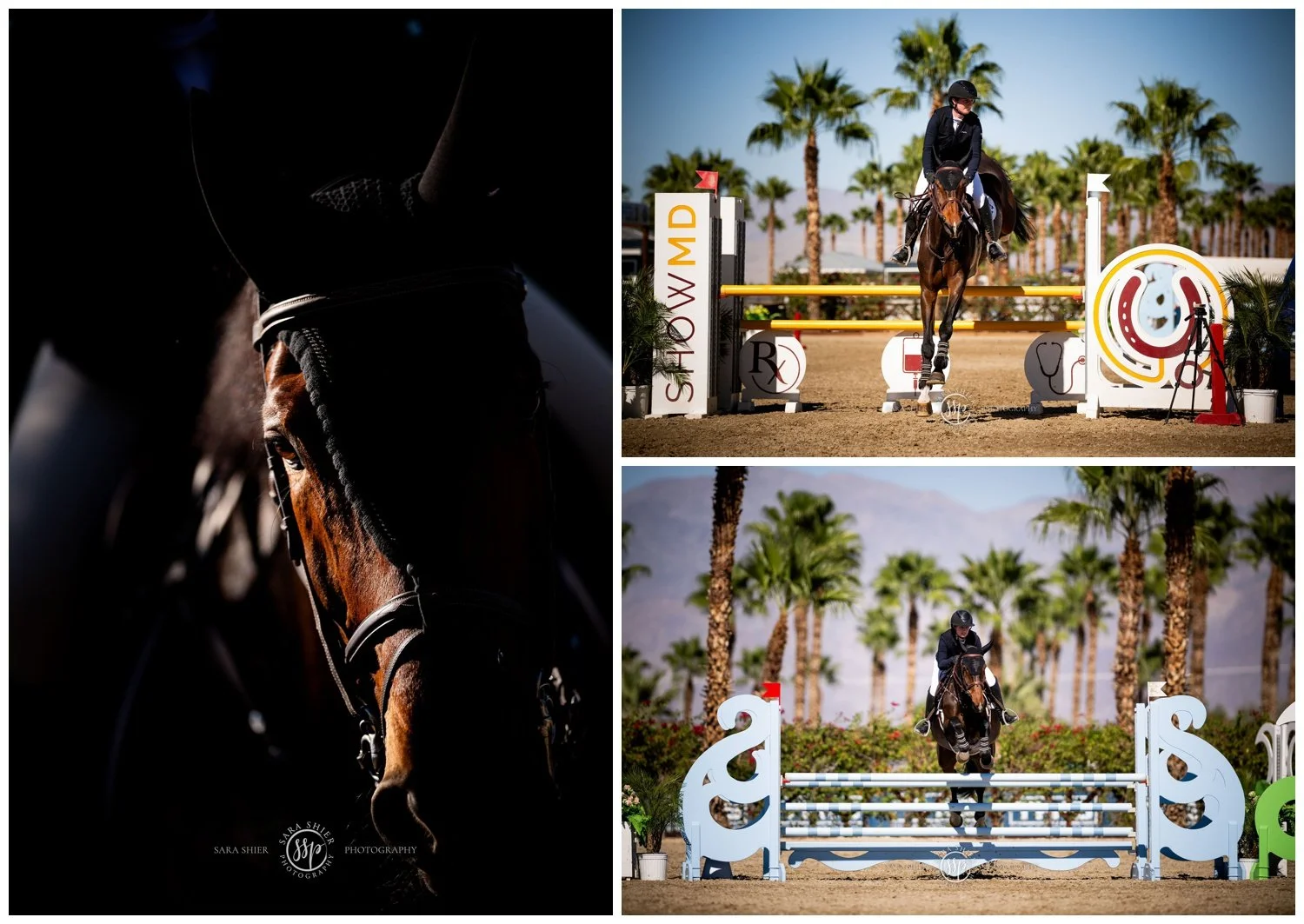 Alex Elardi | Split Rock Santa Anita | Santa Anita Park | Arcadia ...
