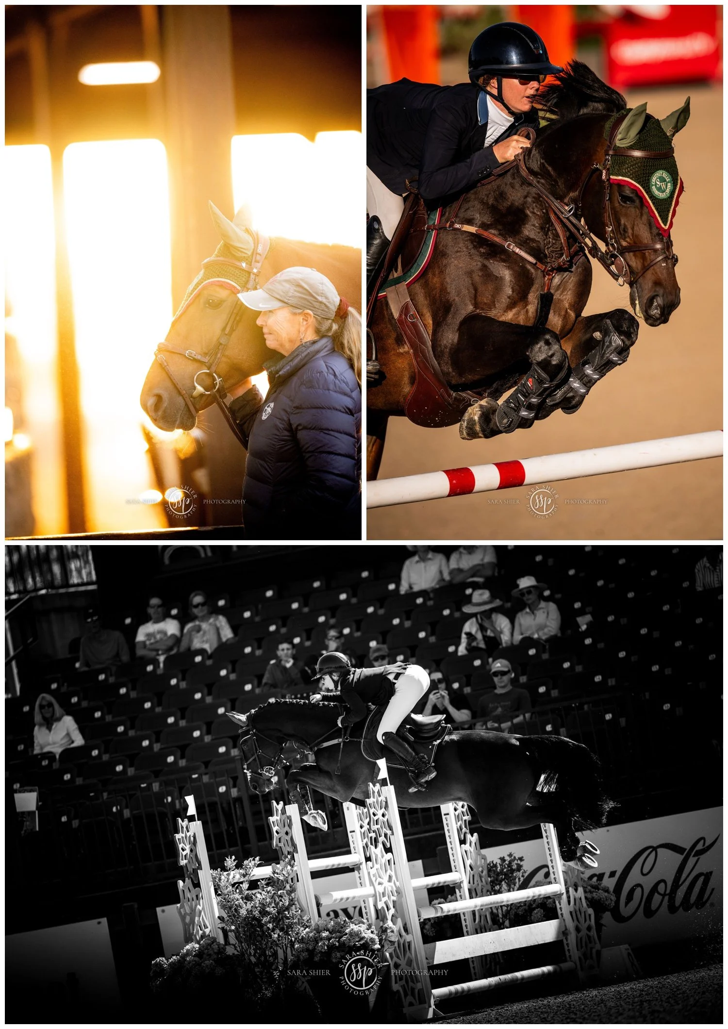 Skylar Wireman | Tryon International Equestrian Center | Sara Shier ...