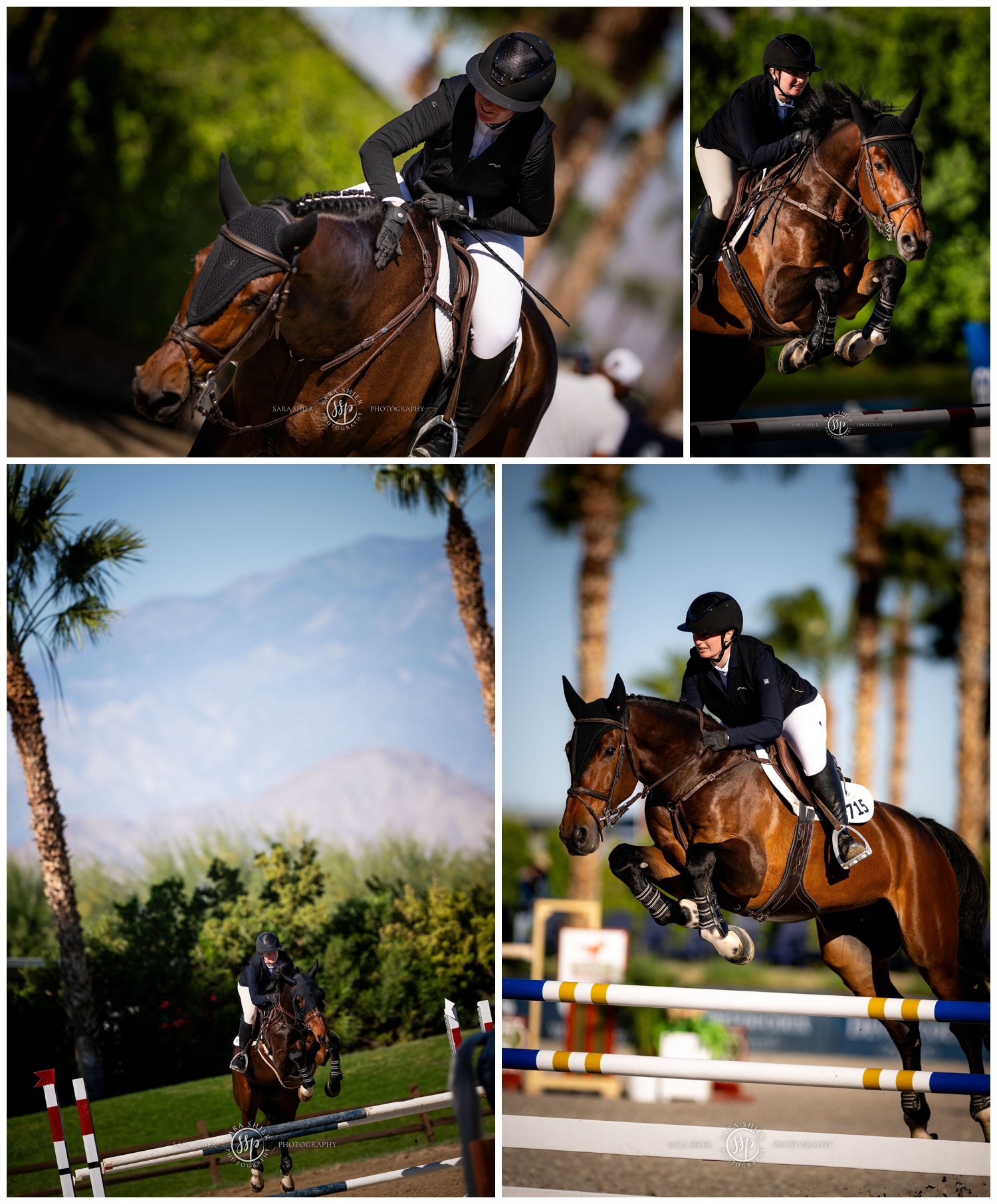 Alex Elardi | Split Rock Santa Anita | Santa Anita Park | Arcadia ...