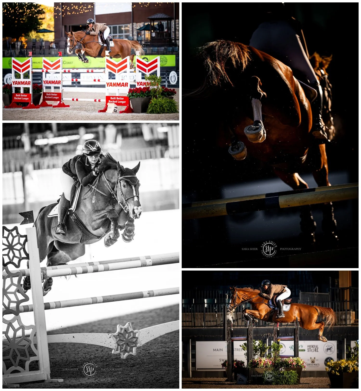 Cameron Trimino | Tryon International Equestrian Center | Mill Spring ...