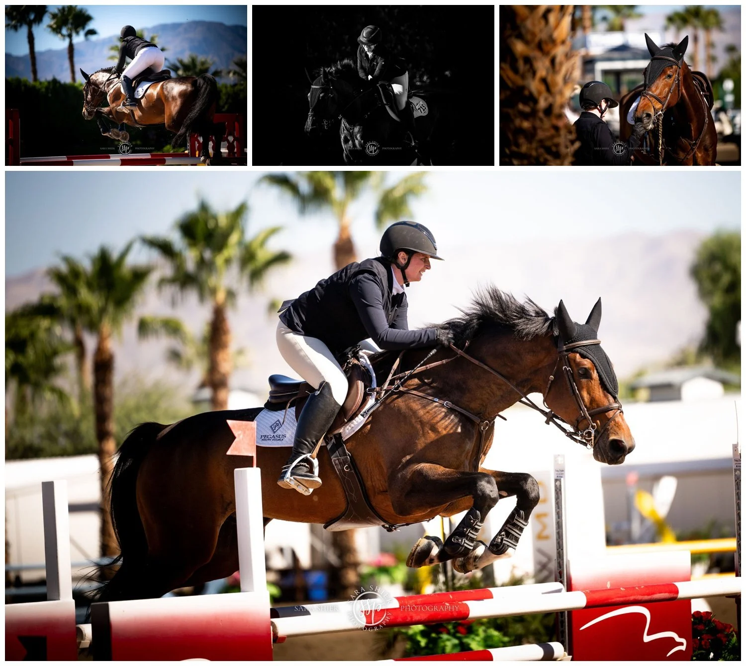 Alex Elardi | Split Rock Santa Anita | Santa Anita Park | Arcadia ...