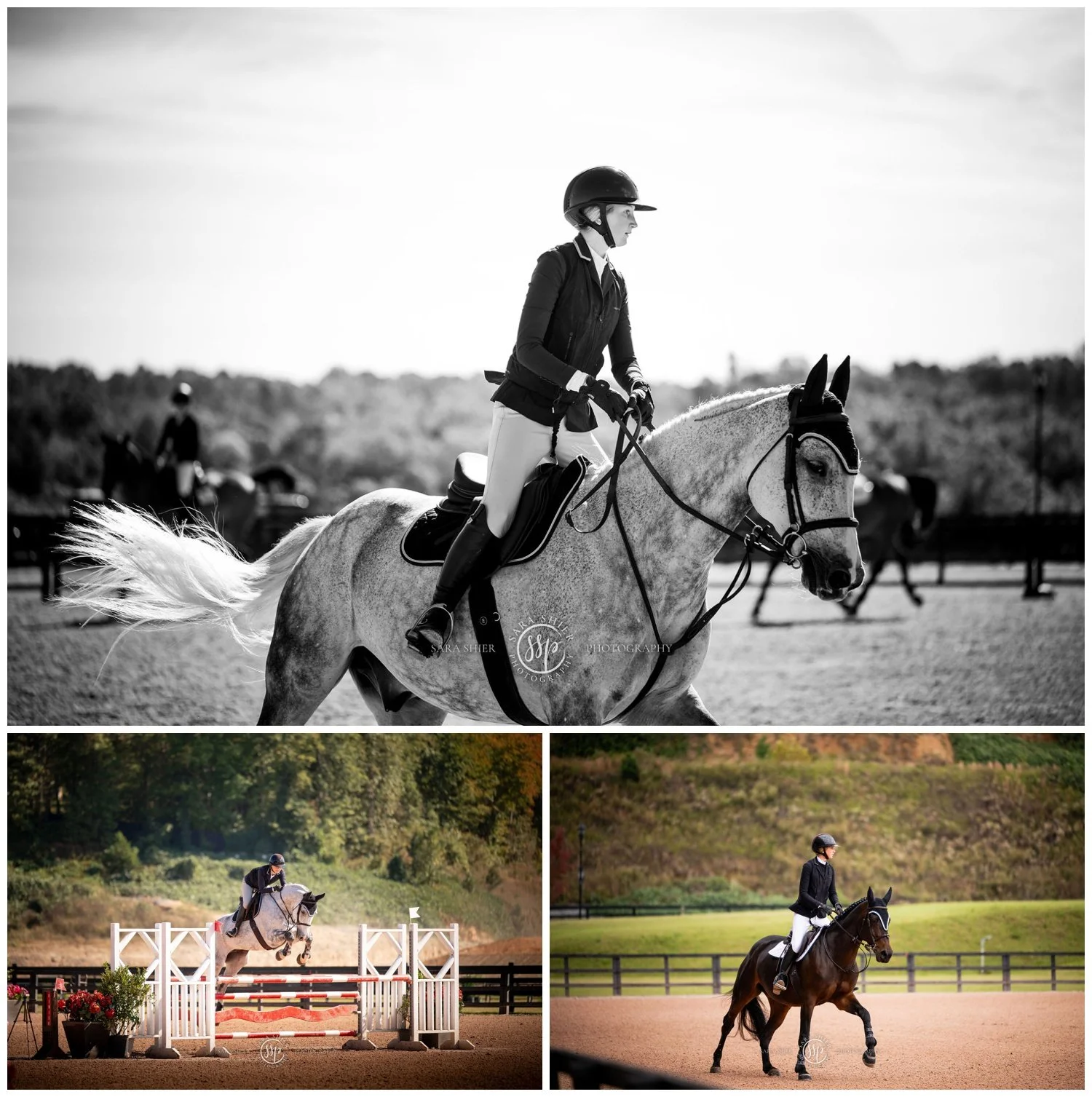 Luella Bacon | Tryon International Equestrian Center | Mill Spring, NC ...