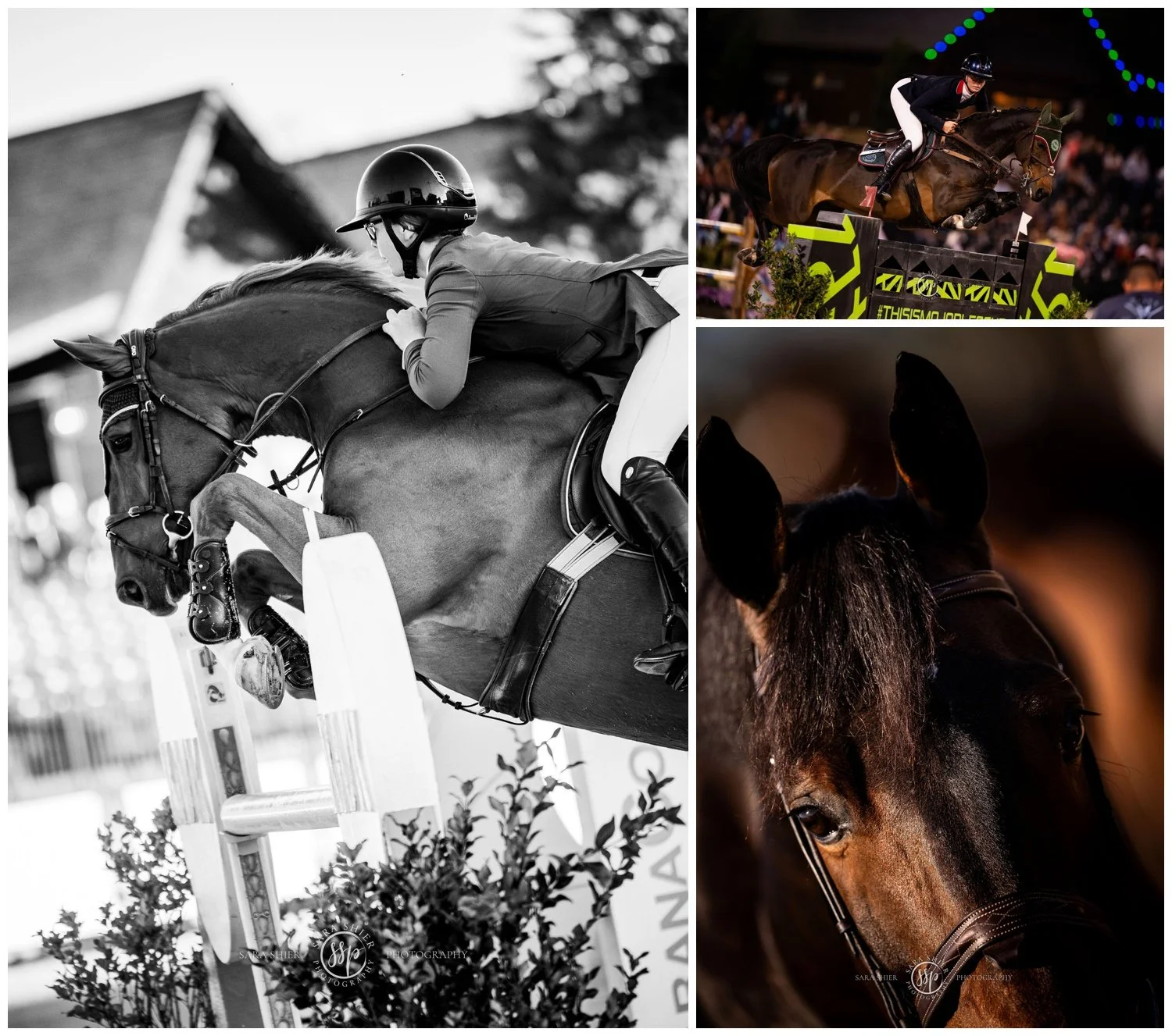Skylar Wireman | Tryon International Equestrian Center | Sara Shier ...