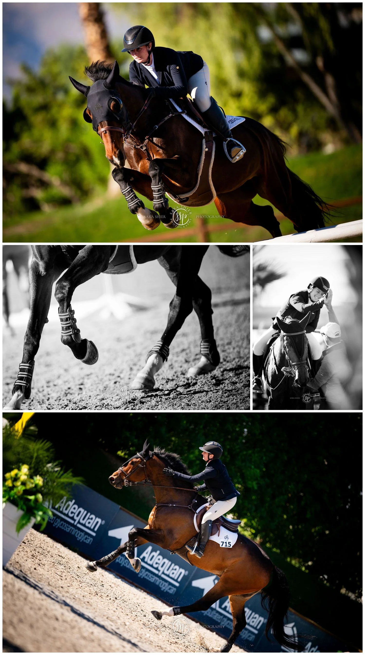 Alex Elardi | Split Rock Santa Anita | Santa Anita Park | Arcadia ...
