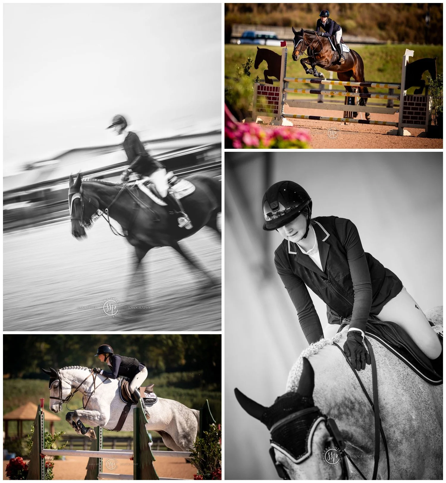 Luella Bacon | Tryon International Equestrian Center | Mill Spring, NC ...