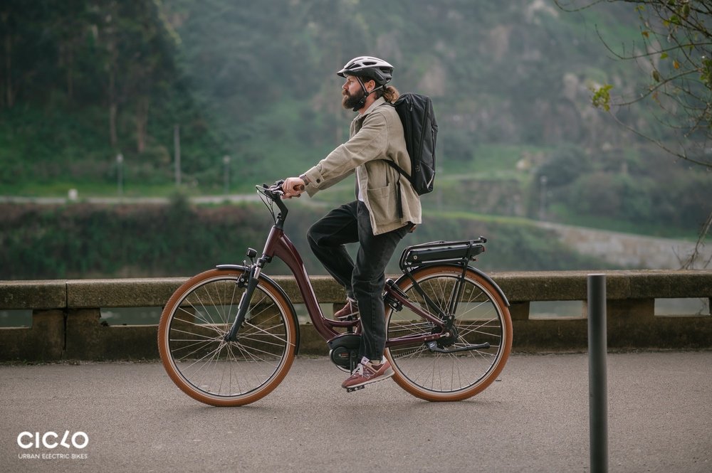 Revisão | Riese & Müller - Swing4 | - CICLO EBIKES