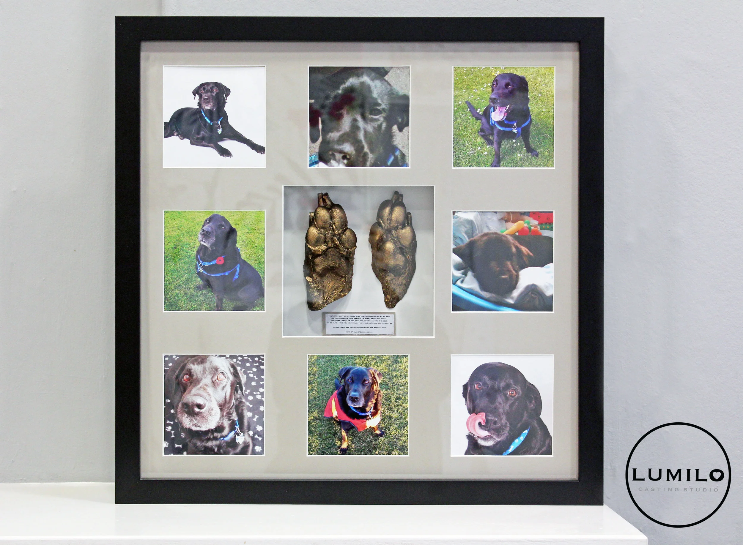 Lumilo Casting Studio