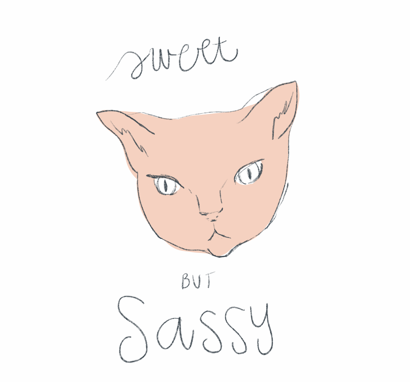 Sassy Cat Gif