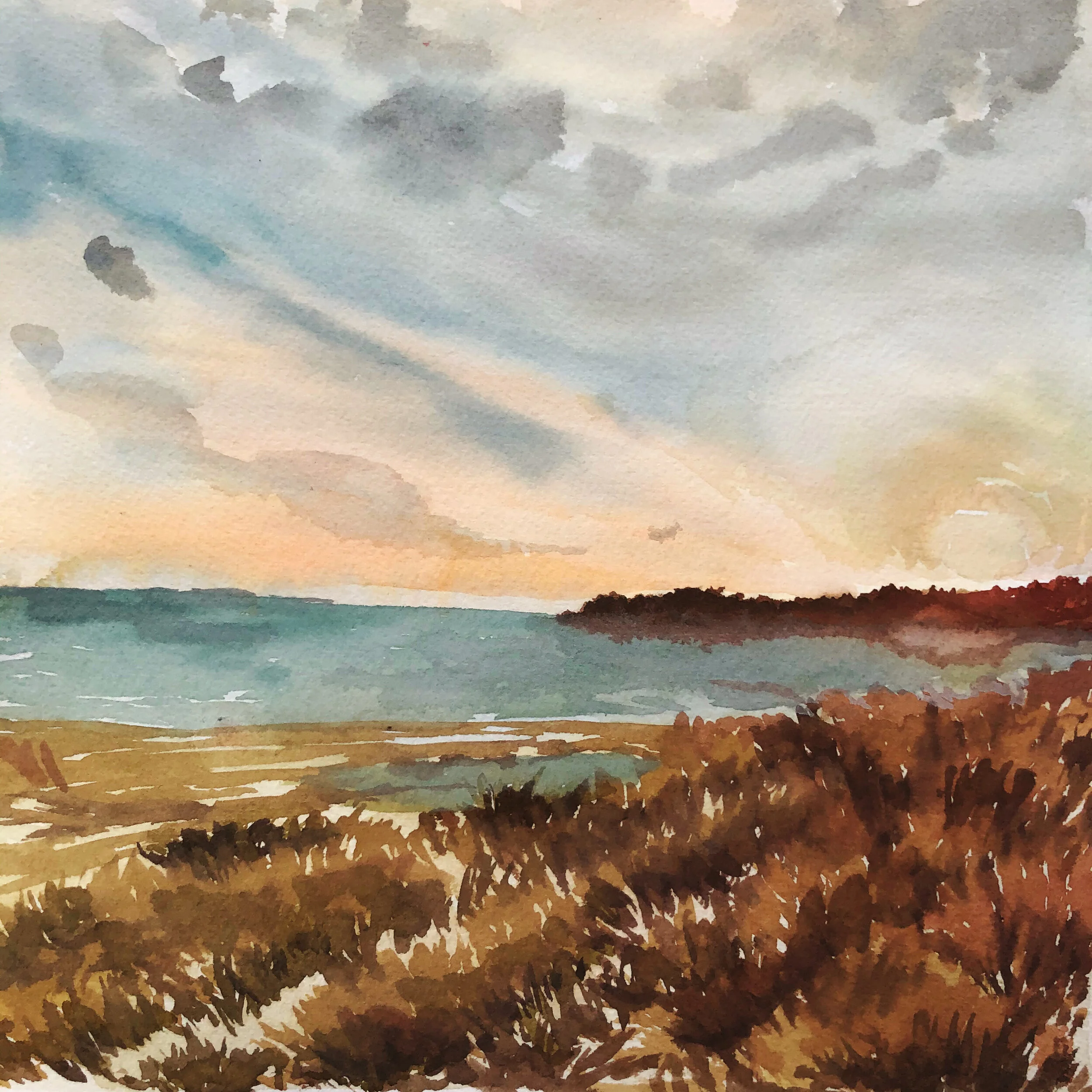 Meadows Collection — Rebecca Sobbi