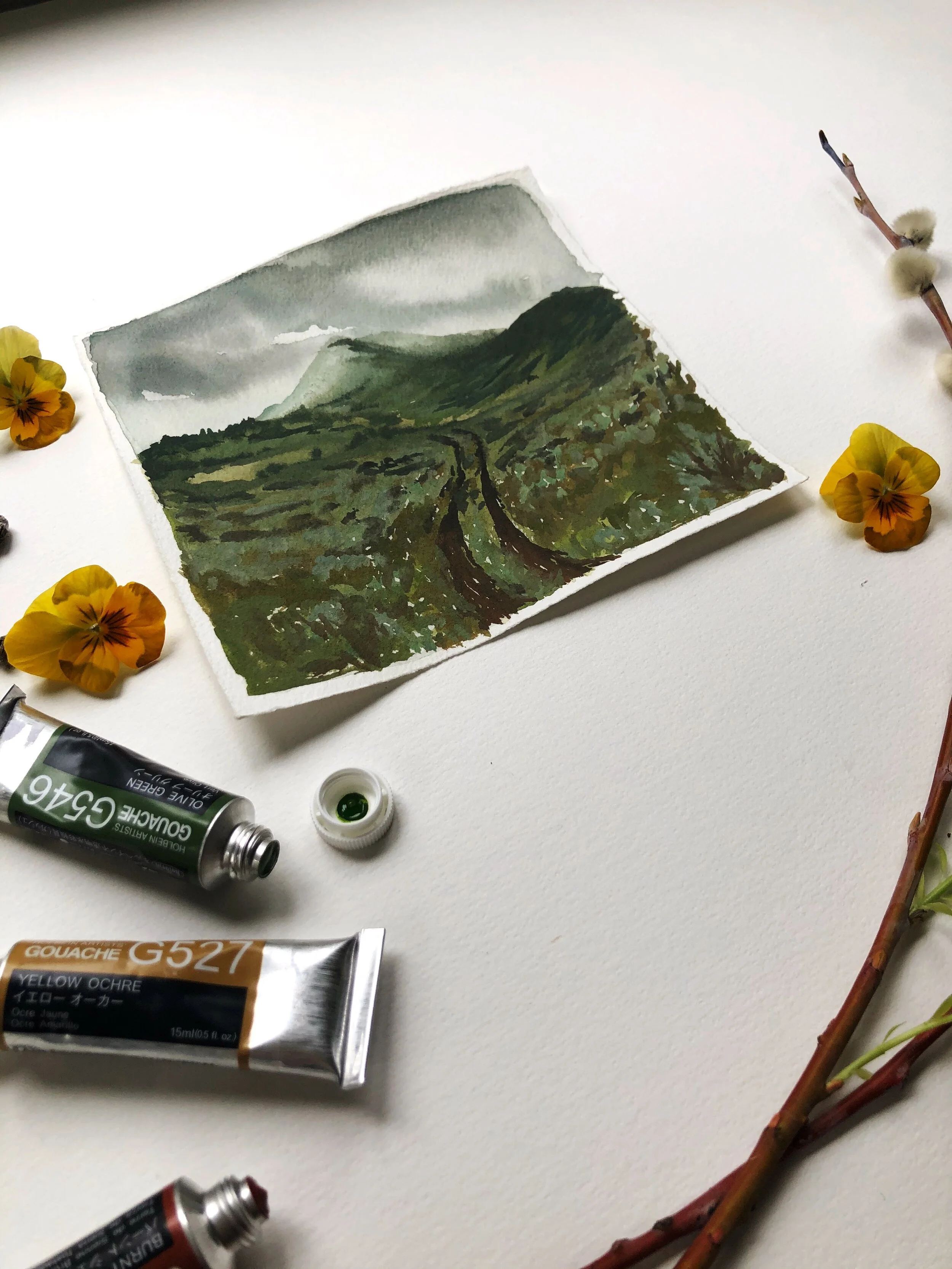 Meadows Collection — Rebecca Sobbi