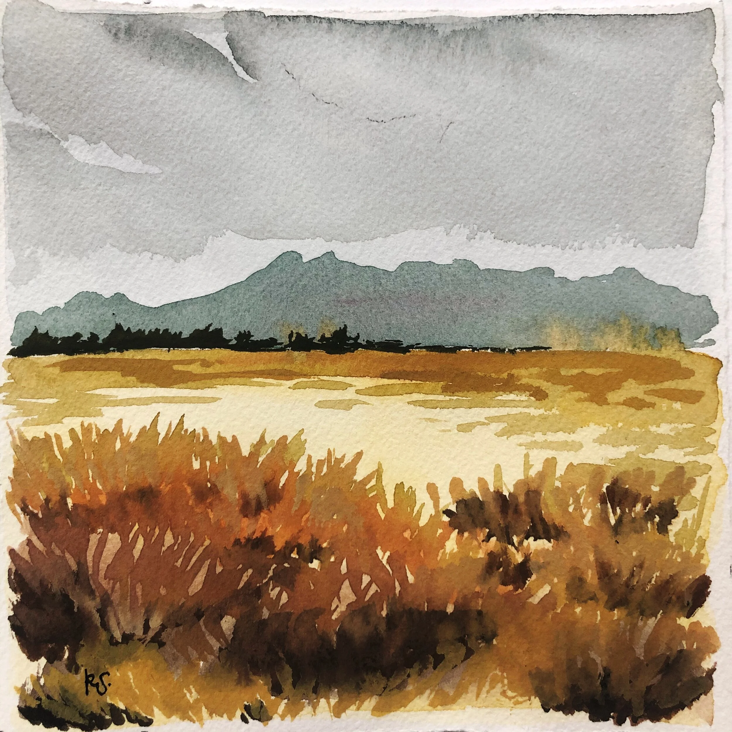 Meadows Collection — Rebecca Sobbi