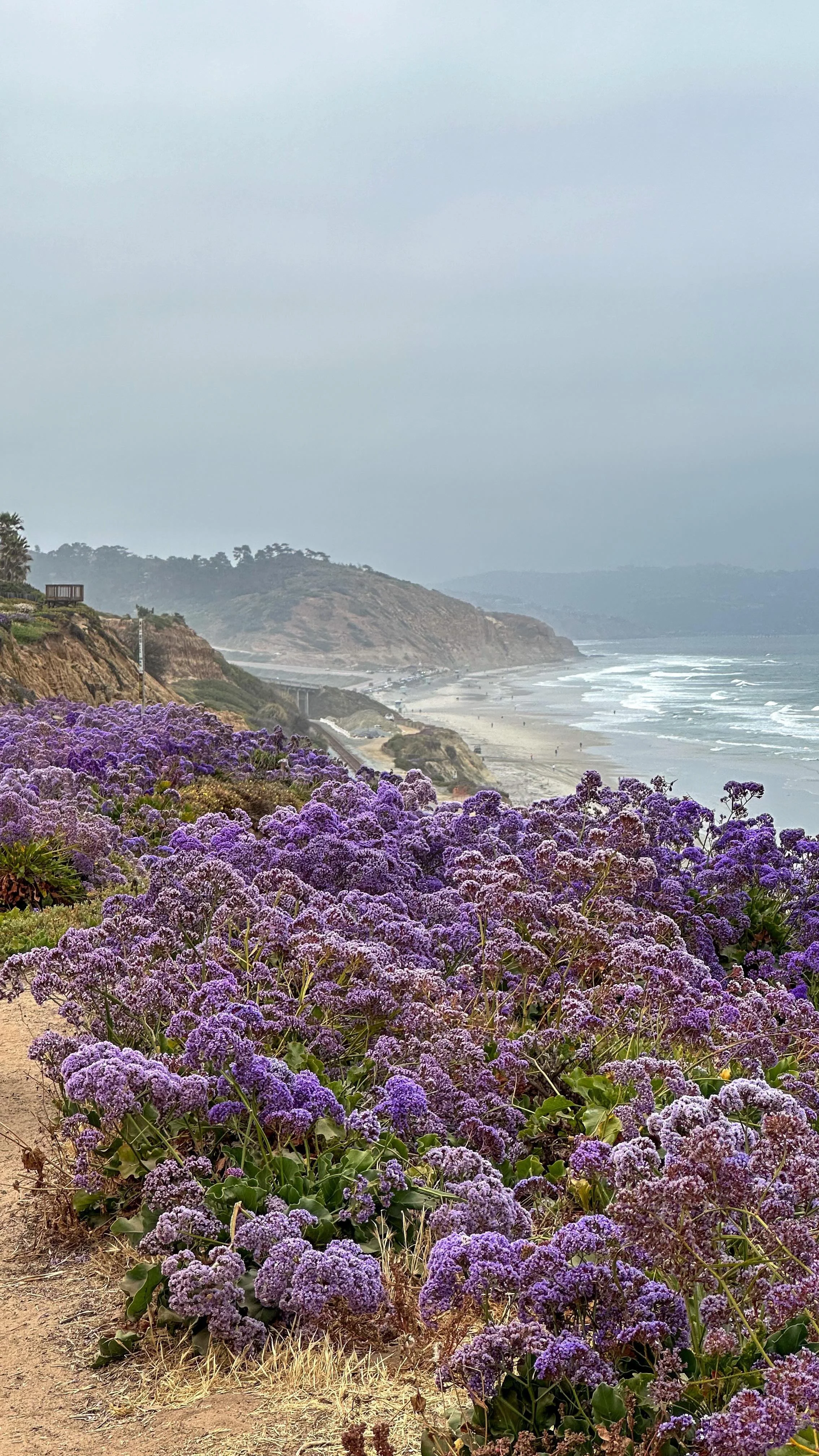 Original Watercolours — Rebecca Sobbi