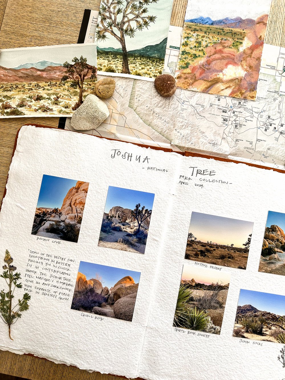 Joshua Tree Collection