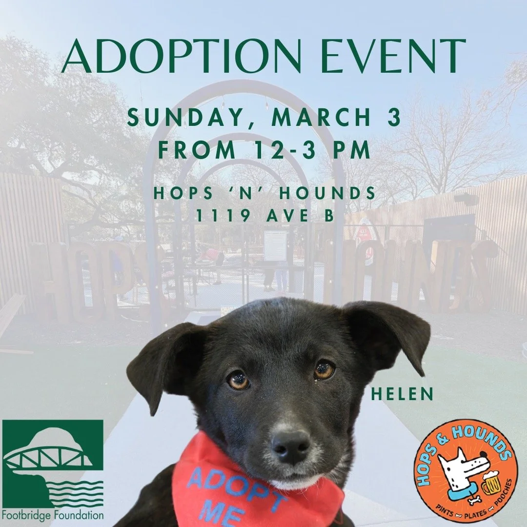 Events — Footbridge Foundation - San Antonio Animal Rescue and Pet ...