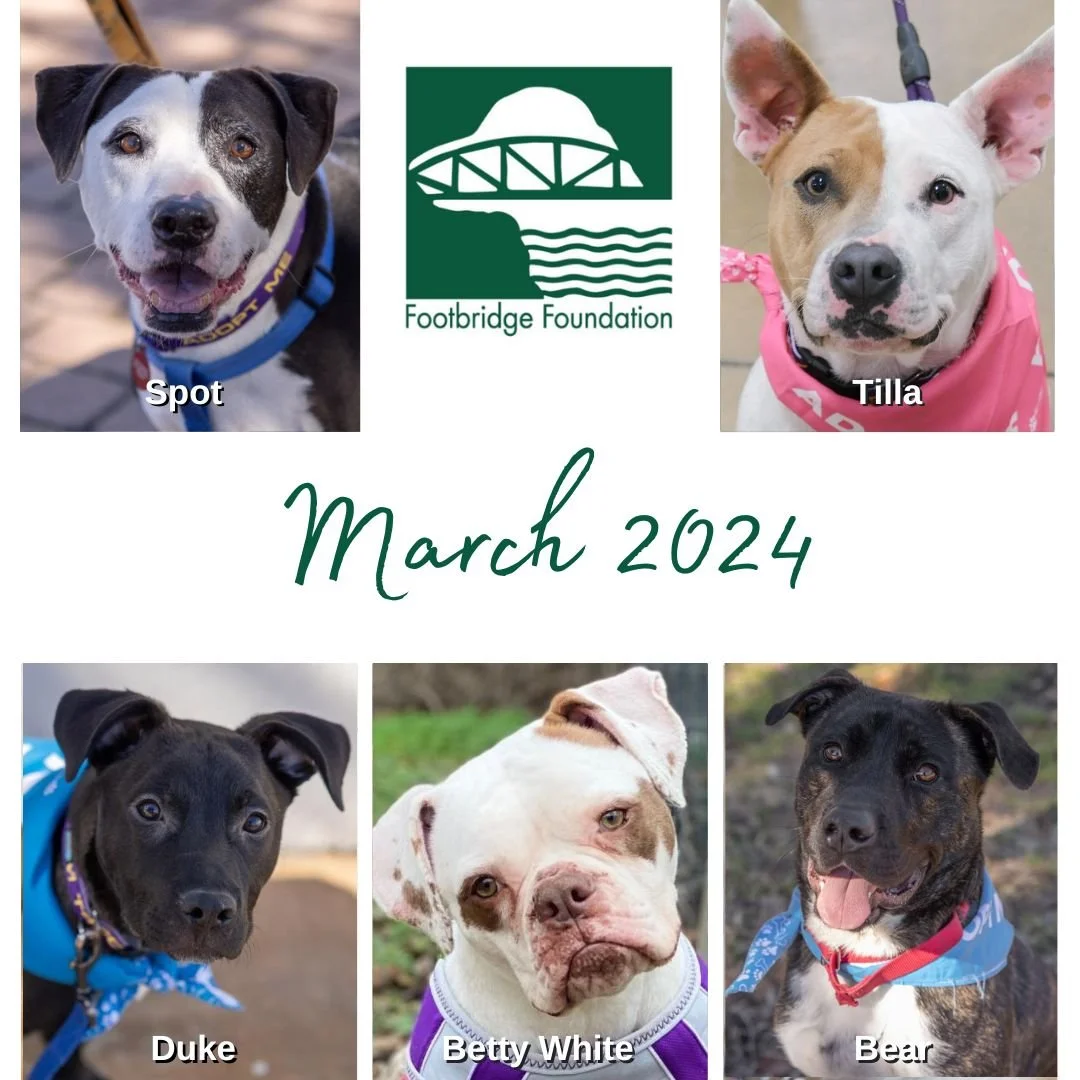 Newsletters — Footbridge Foundation - San Antonio Animal Rescue and Pet ...