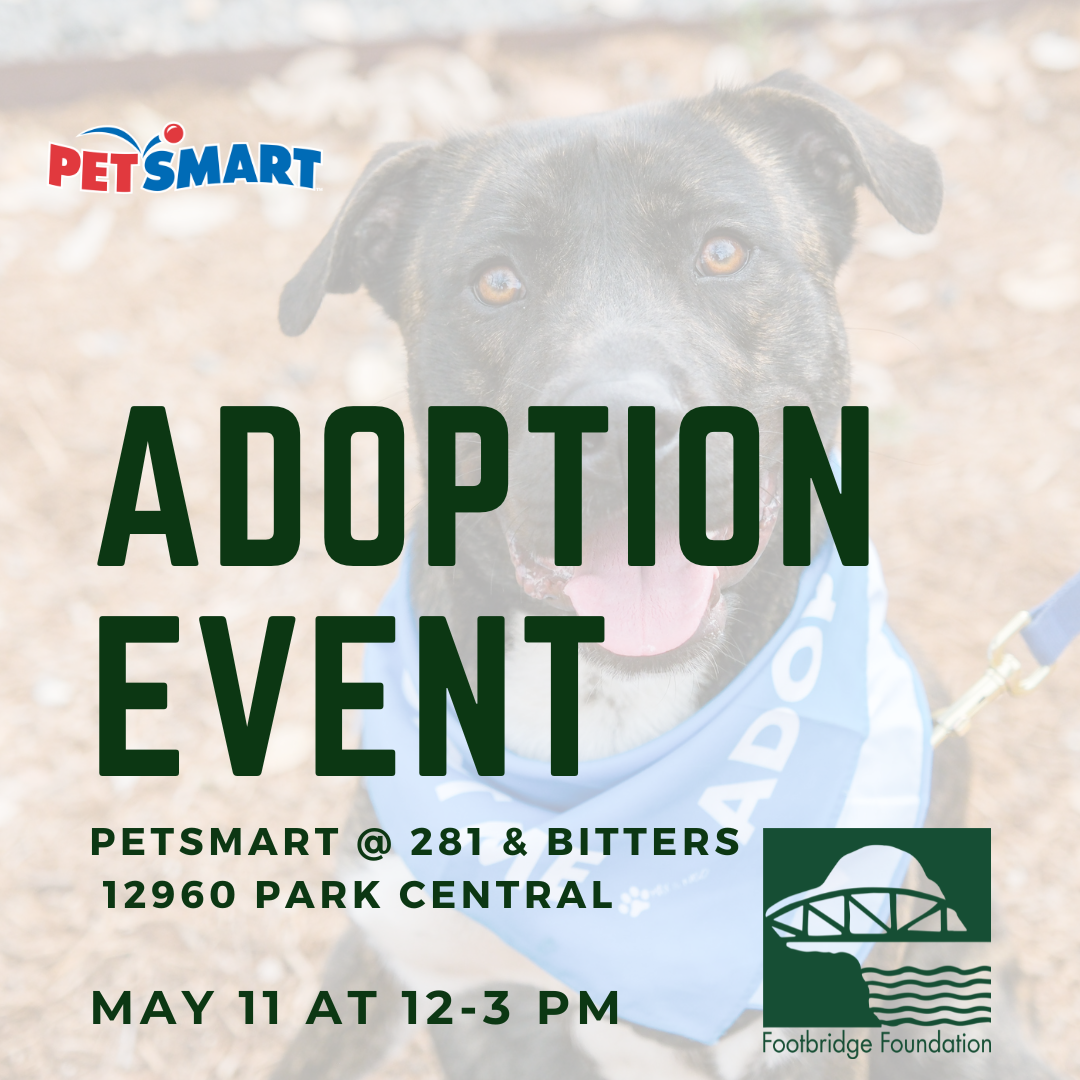 Events — Footbridge Foundation - San Antonio Animal Rescue and Pet ...