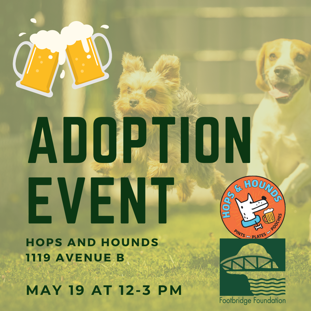 Events — Footbridge Foundation - San Antonio Animal Rescue and Pet ...