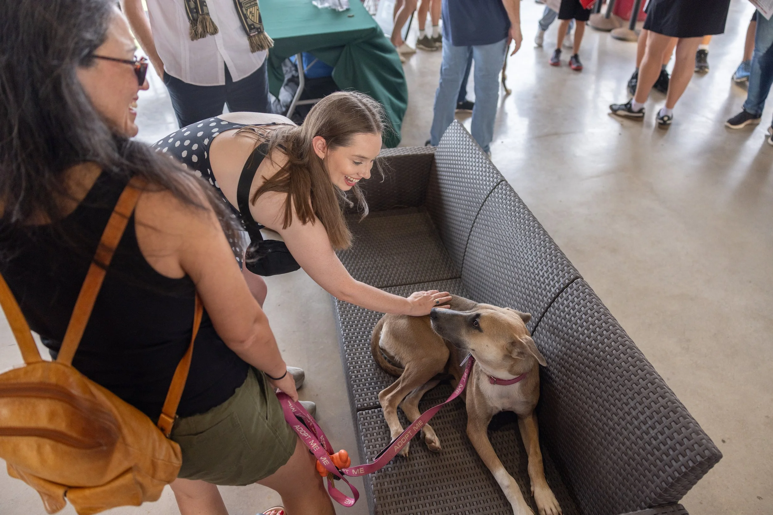 Footbridge Foundation - San Antonio Animal Rescue and Pet Adoption Service.