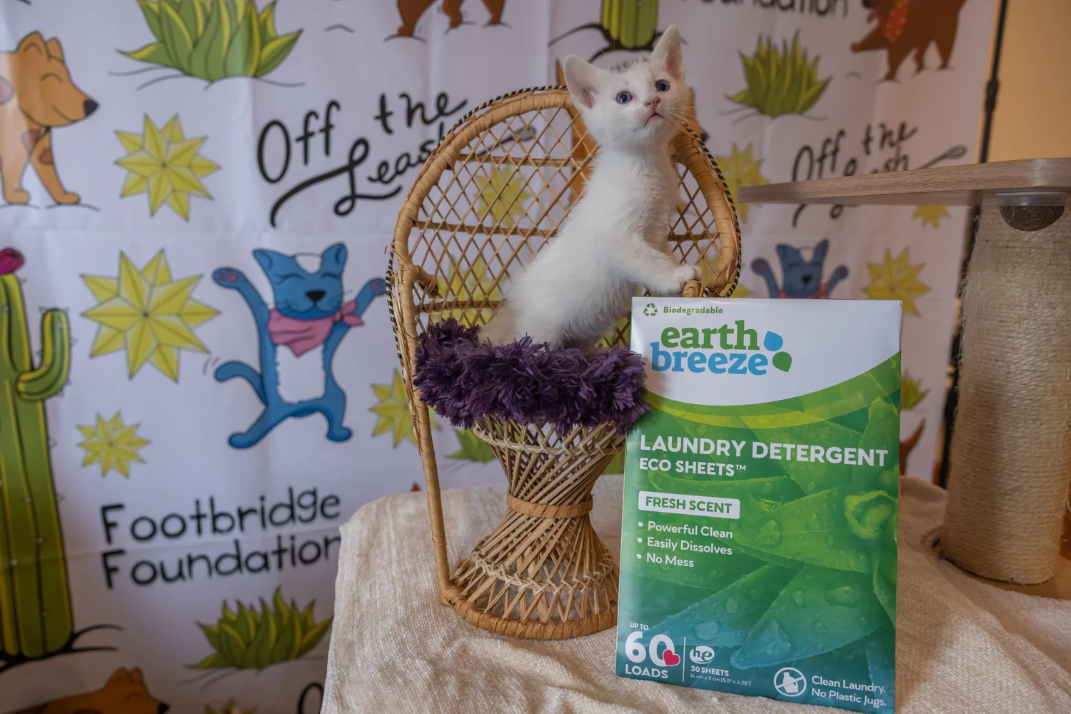 Footbridge Foundation - San Antonio Animal Rescue and Pet Adoption Service.