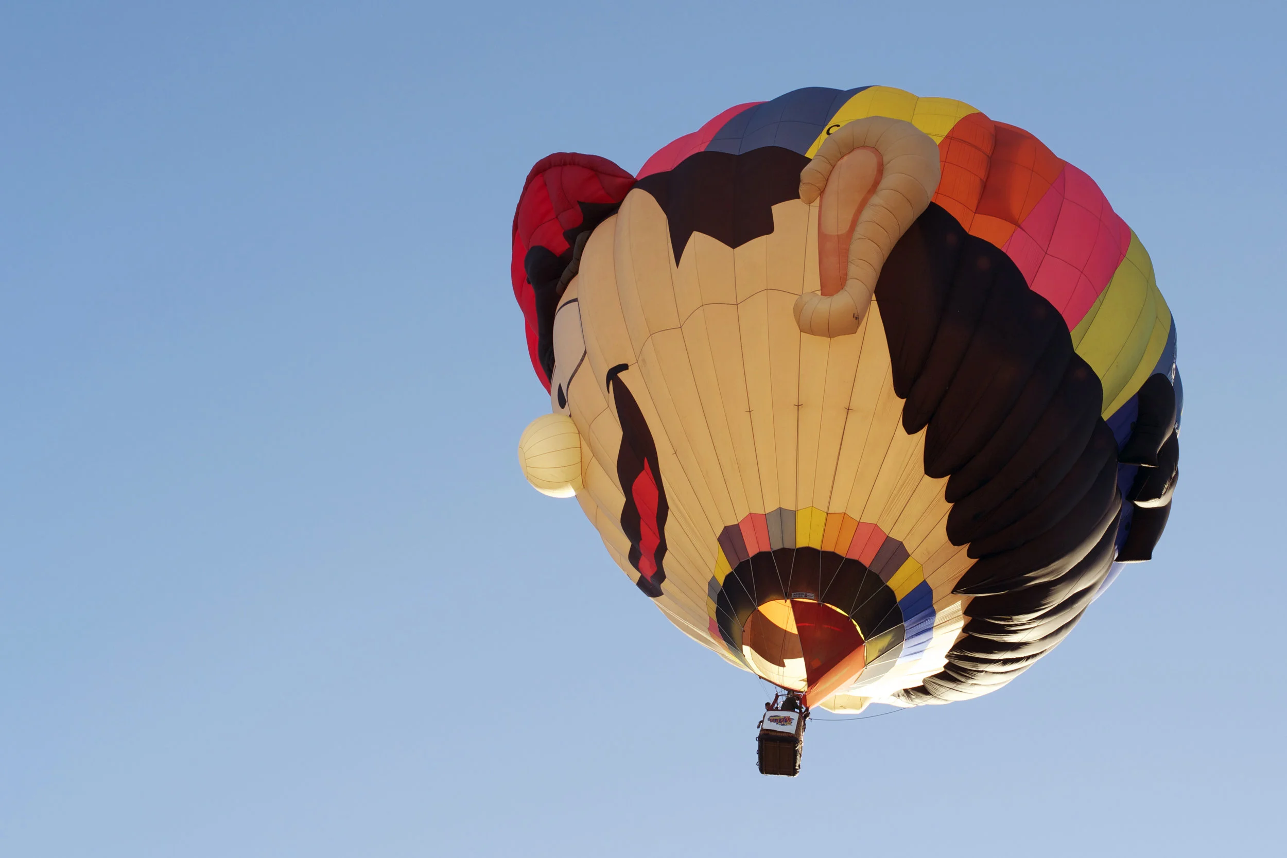 Up Up and Away at the Atlantic Balloon Fiesta — MARITIMES MAVEN