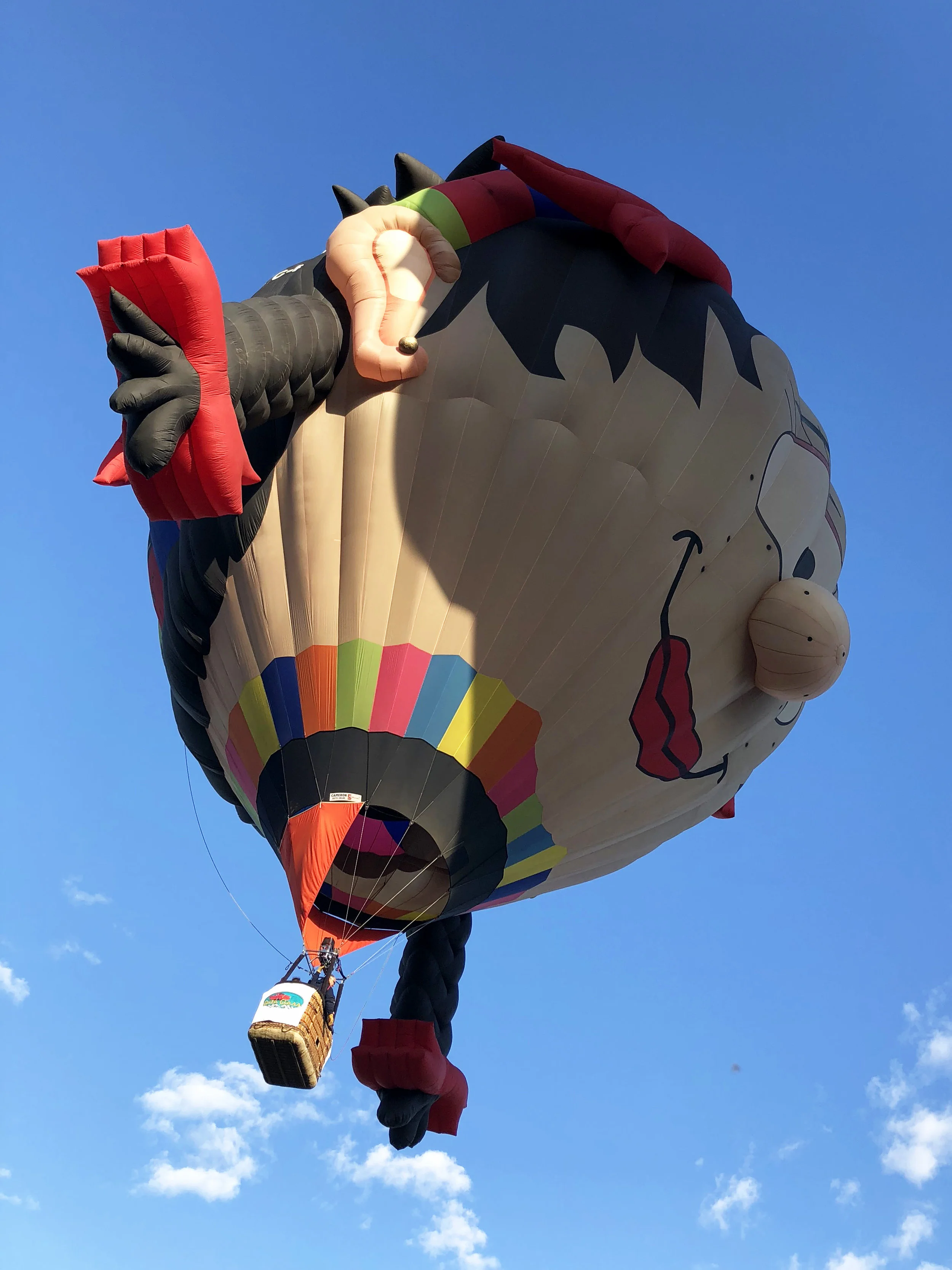 Up Up and Away at the Atlantic Balloon Fiesta — MARITIMES MAVEN
