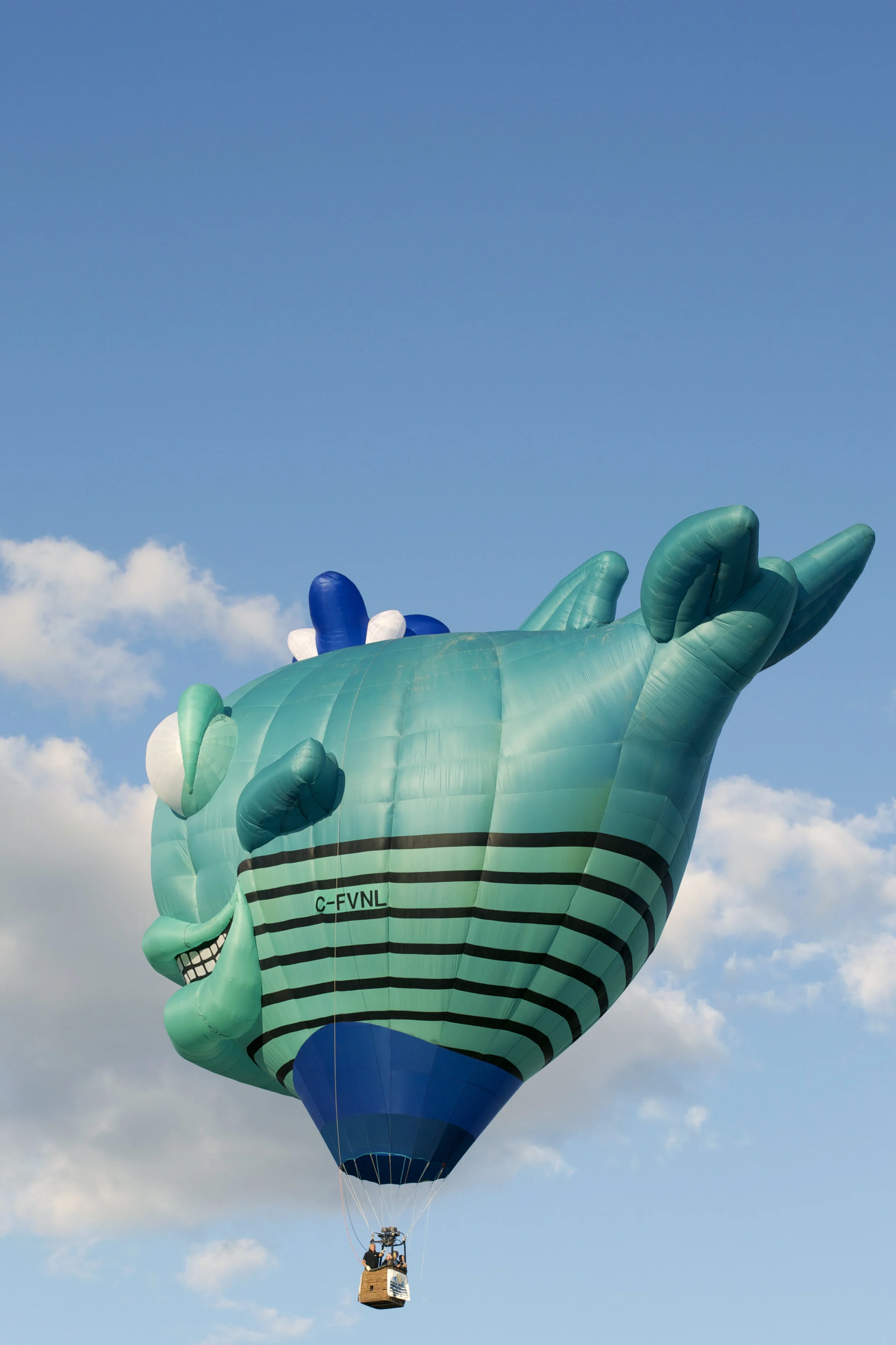 Atlantic Balloon Fiesta — MARITIMES MAVEN