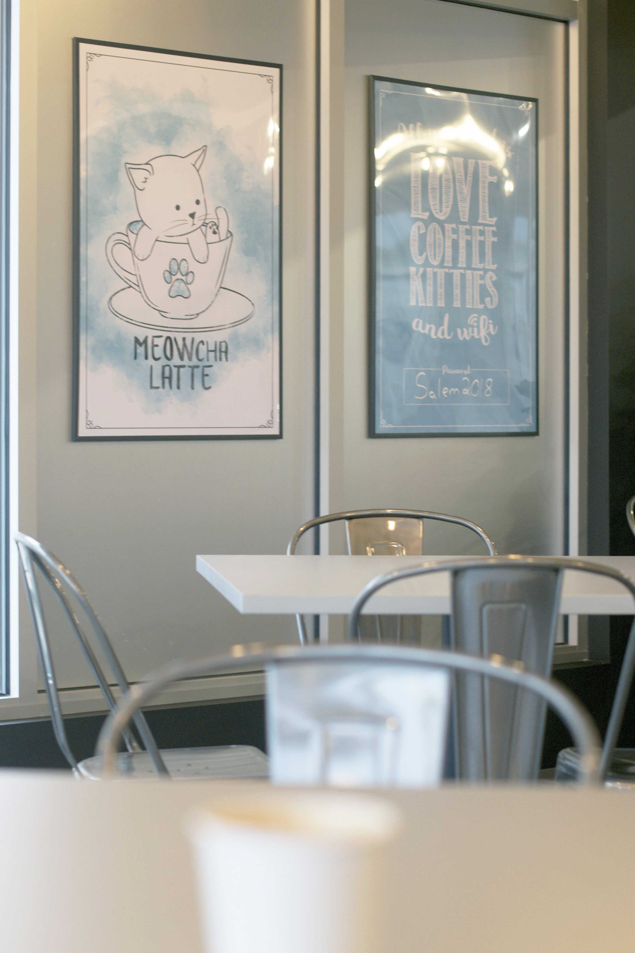 The Purrfect Cup Cat Cafe — MARITIMES MAVEN