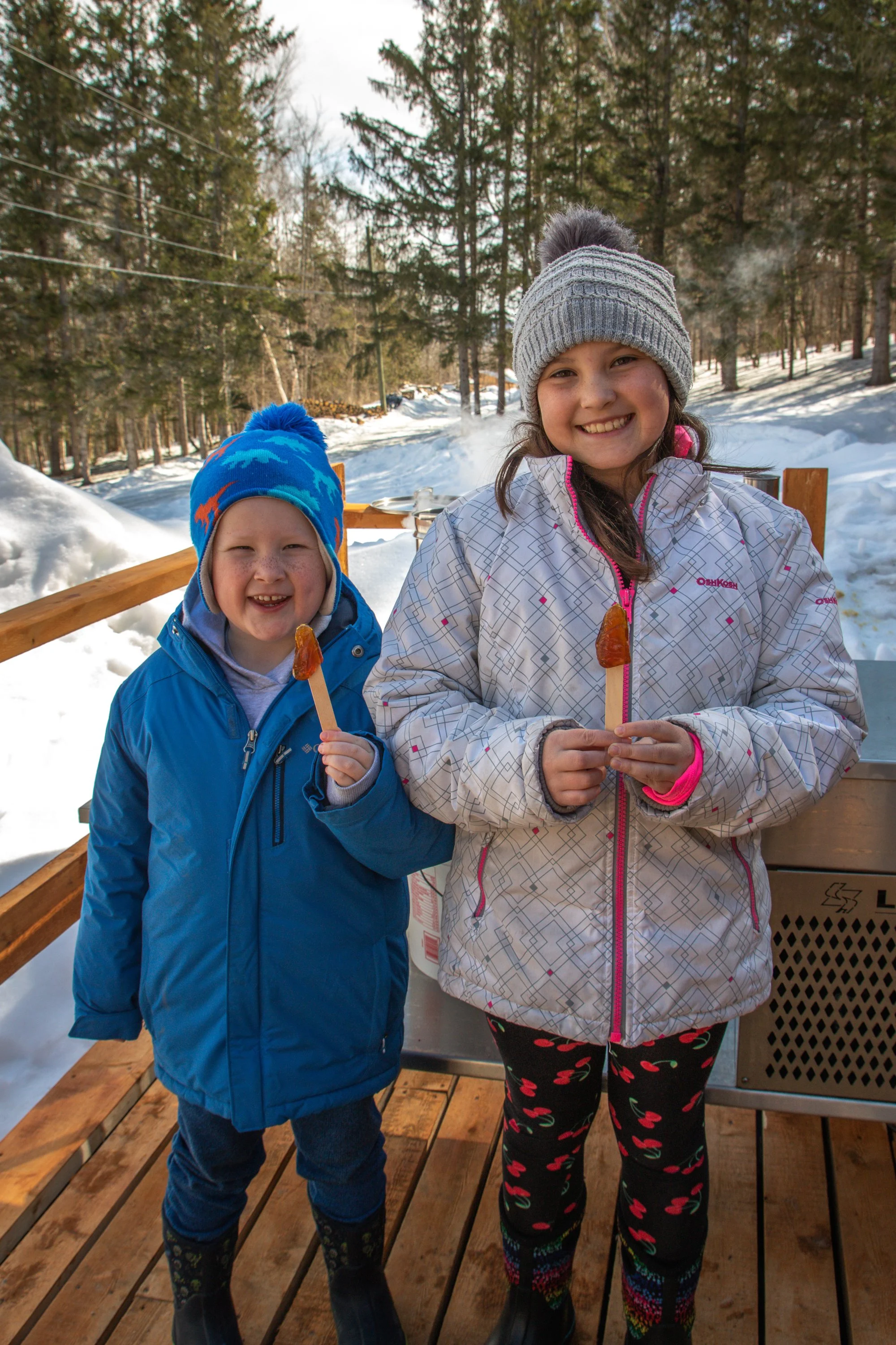 Dumfries Maples Sugarbush — MARITIMES MAVEN