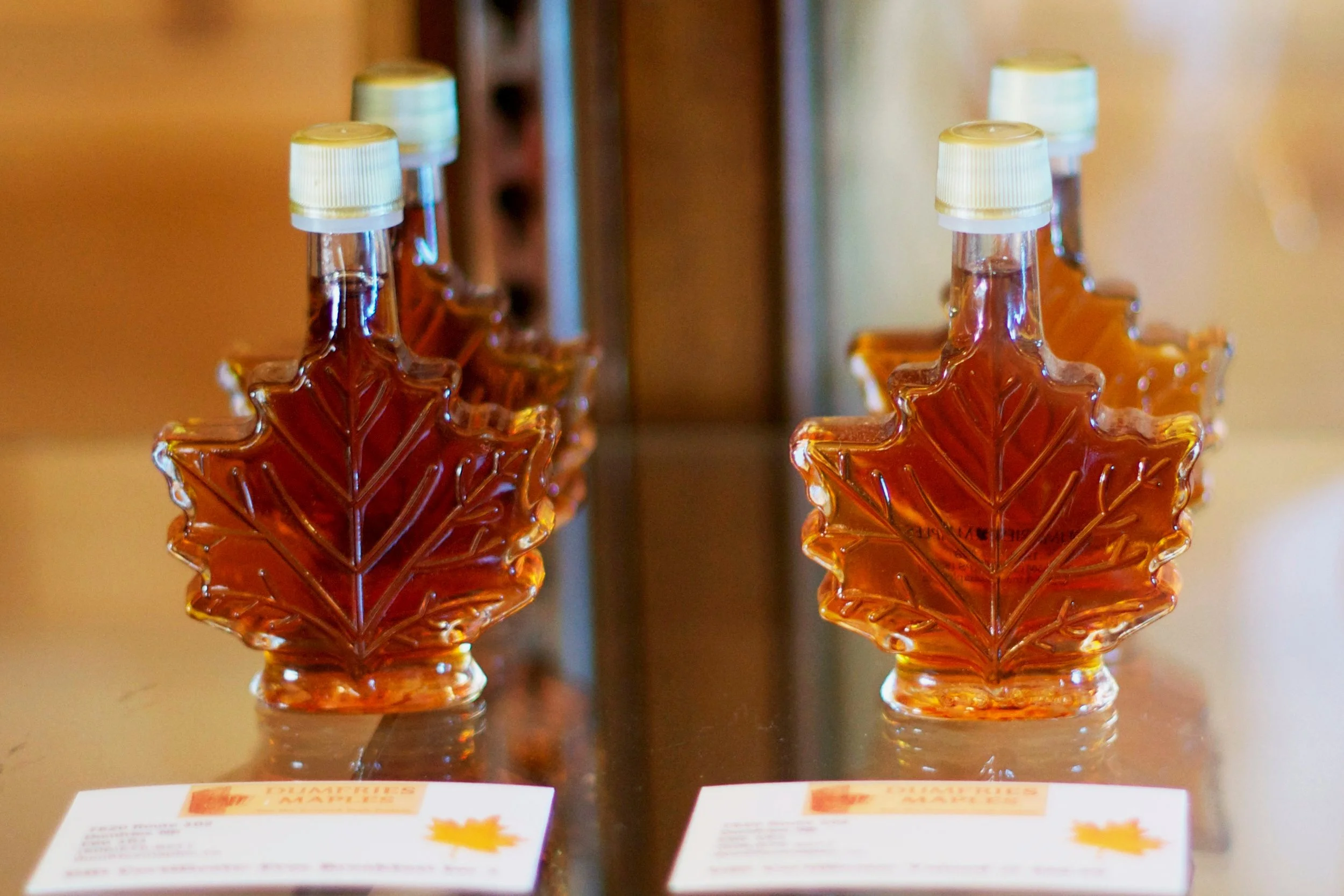 Dumfries Maples Sugarbush — MARITIMES MAVEN