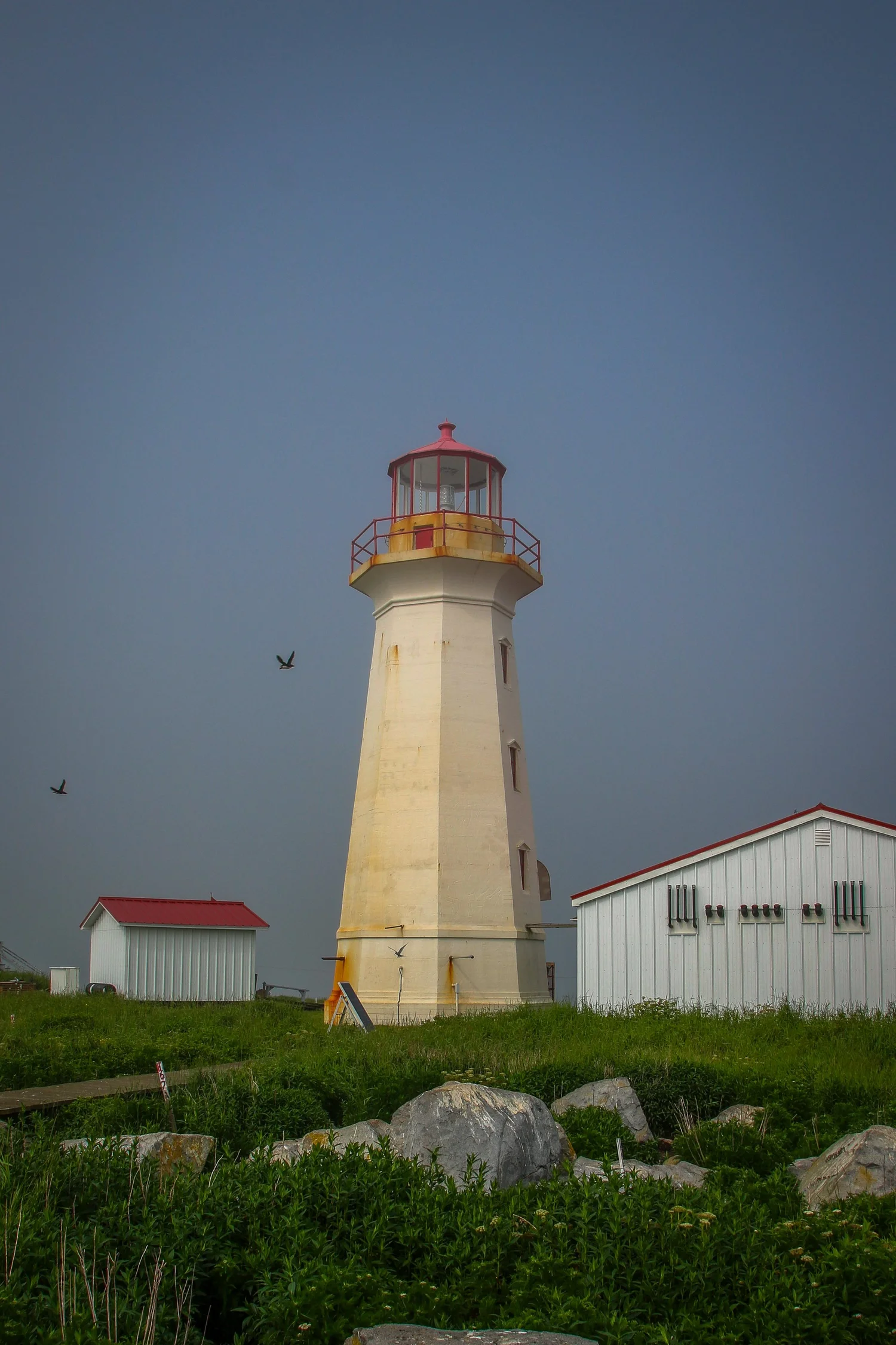 The Puffin Tour at Machias Seal Island — MARITIMES MAVEN