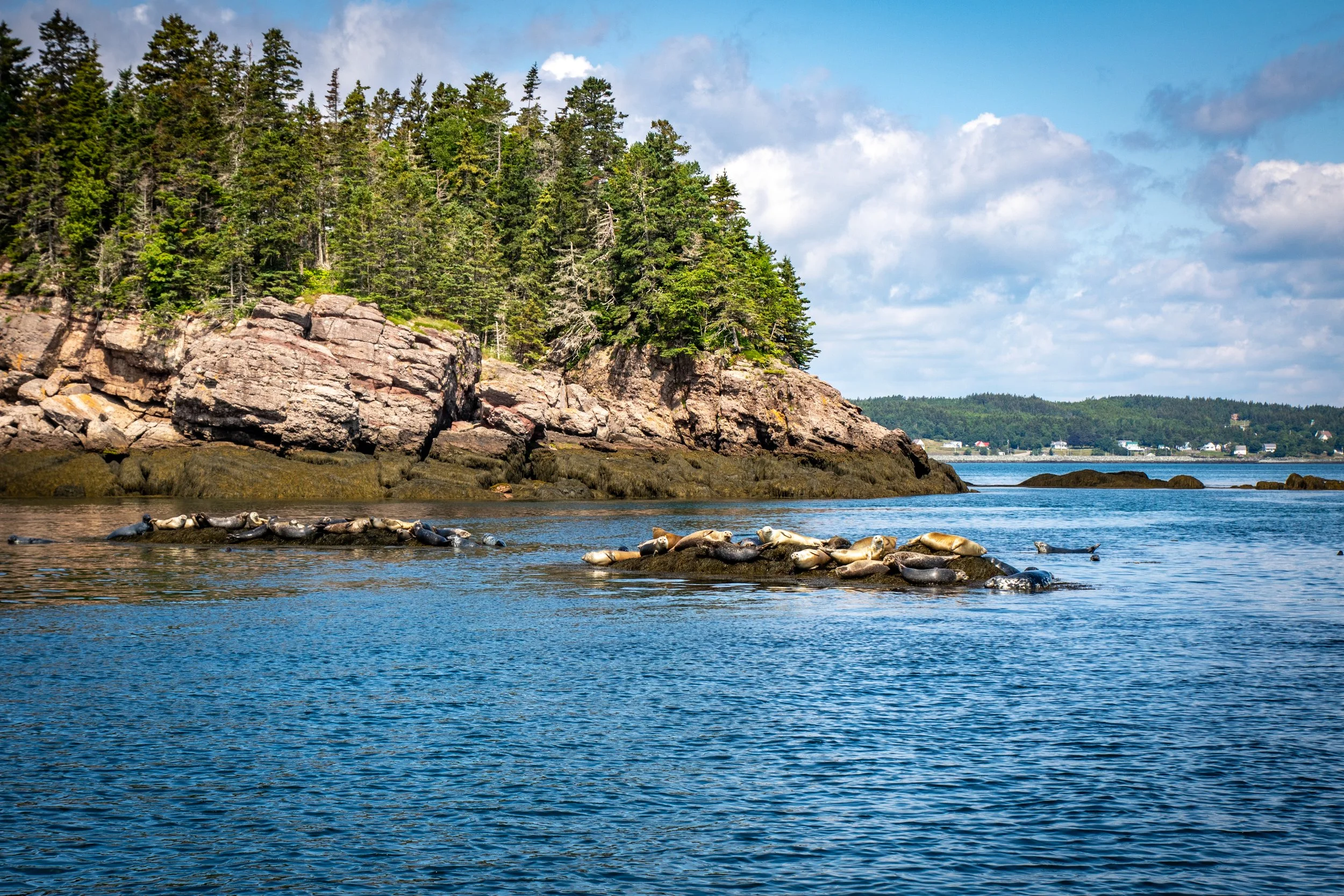 Deer Island, New Brunswick — MARITIMES MAVEN