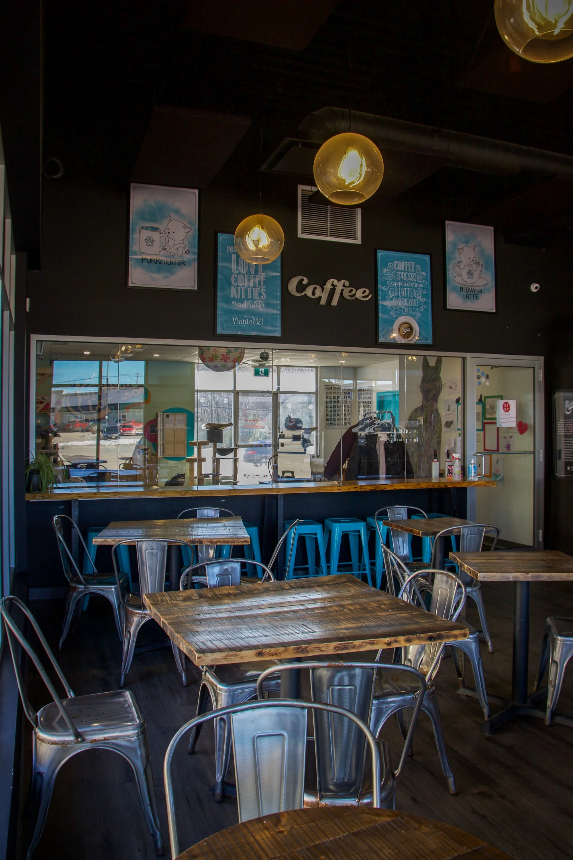 The Purrfect Cup Cat Café — MARITIMES MAVEN