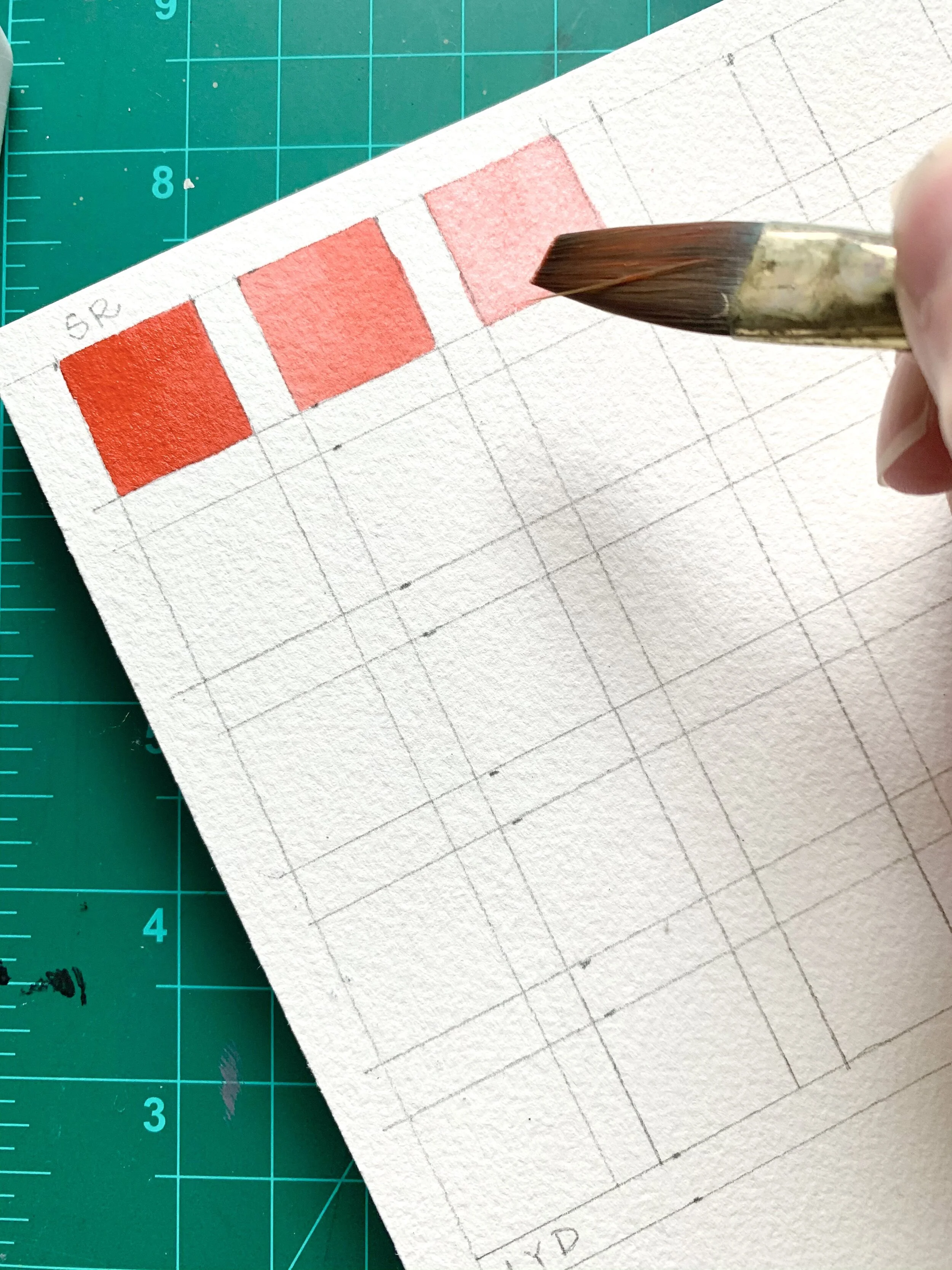 Watercolor Color Study: Exploring Color Relationships — The Scribblist