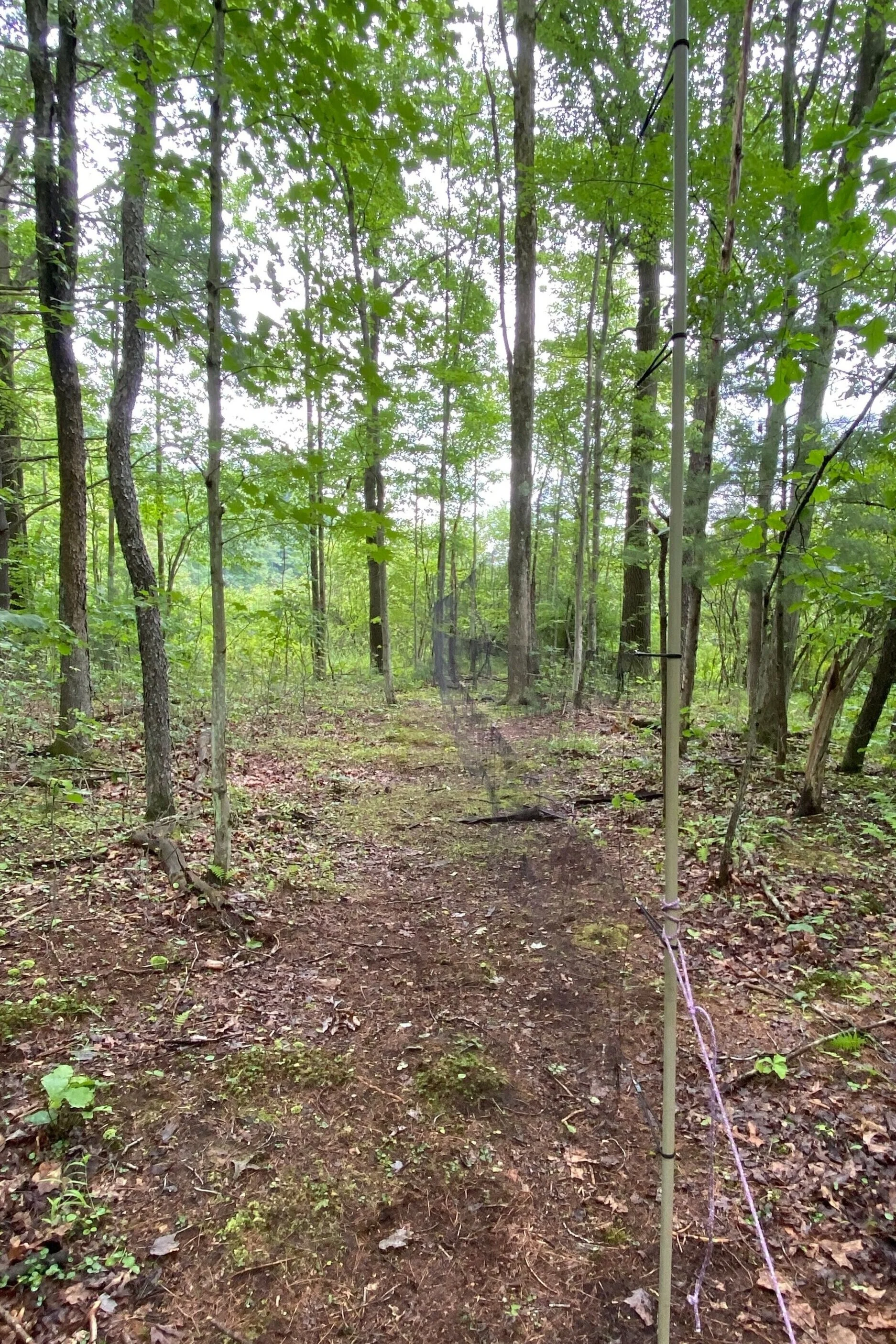 Why Band Birds? — Erie Bird Observatory