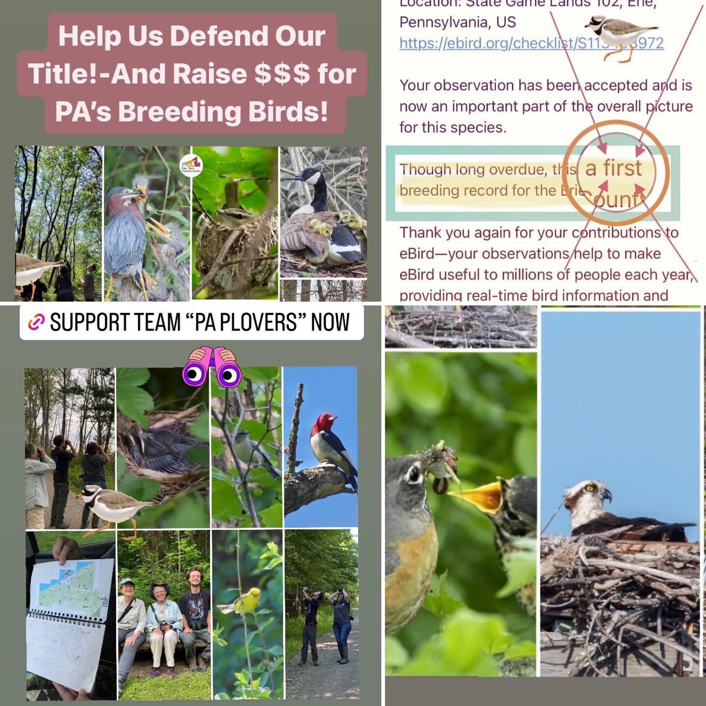 Erie Bird Observatory