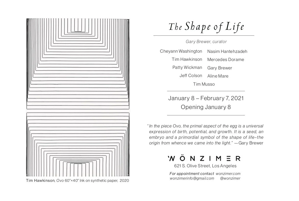The Shape Of Life — Wonzimer