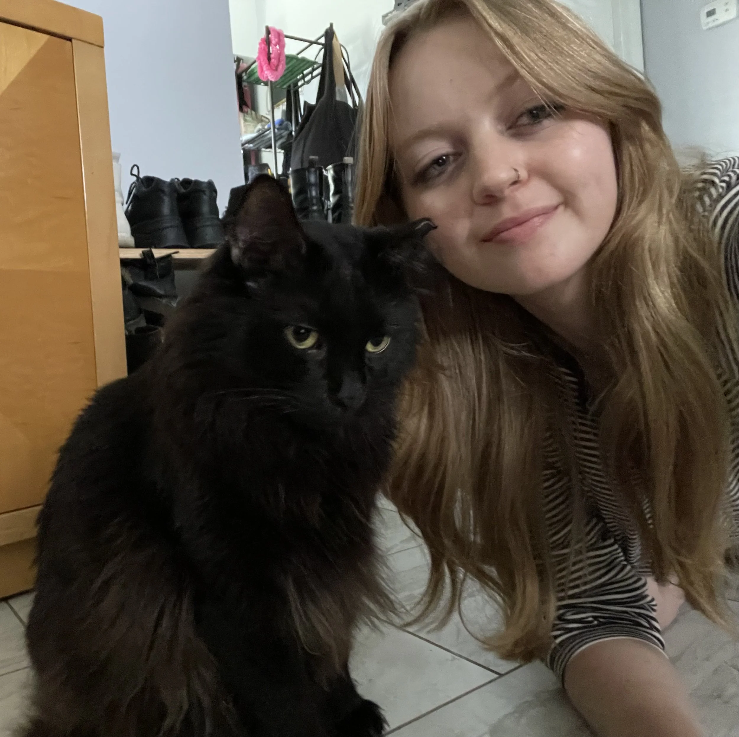 St. Petersburg Pet Sitter