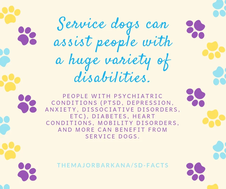 What Conditions Can Service Dogs Be Used For