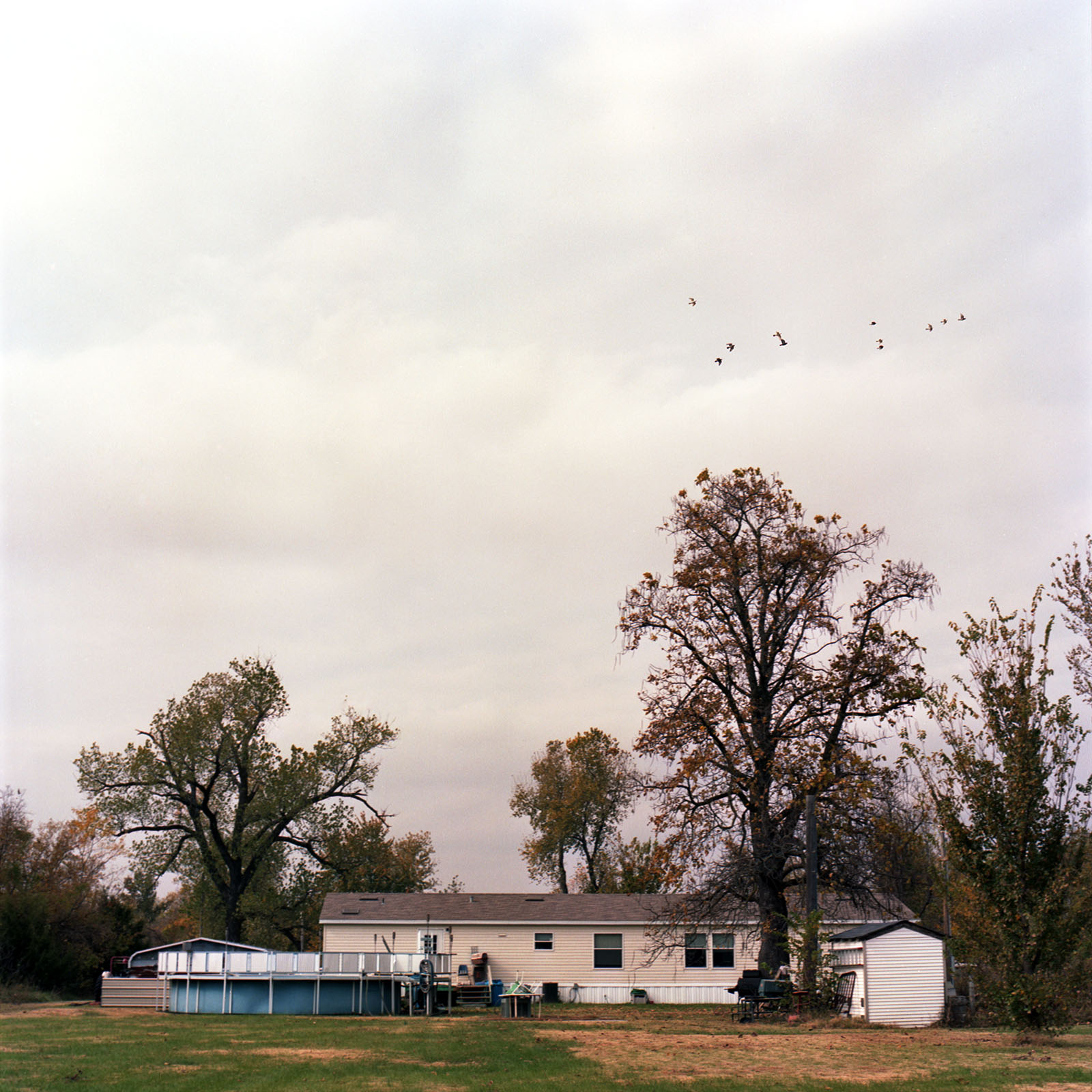 The Last Days - Treece, Kansas — Danea Males