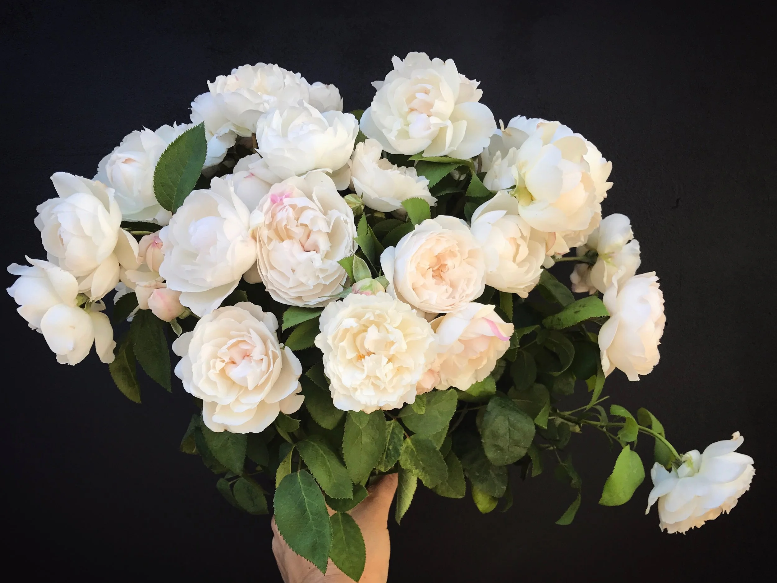 Getting Married - Verdaflore Wedding Flower gallery-Verdaflore