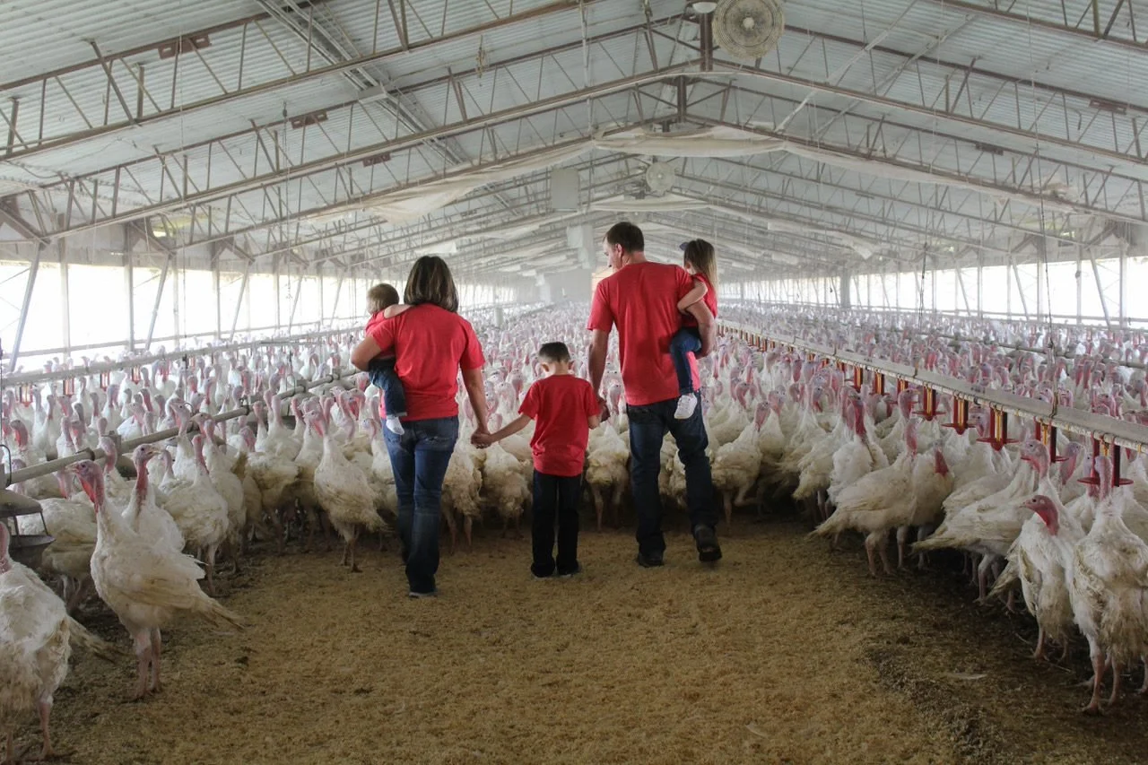 Our History — Iowa Turkey Federation