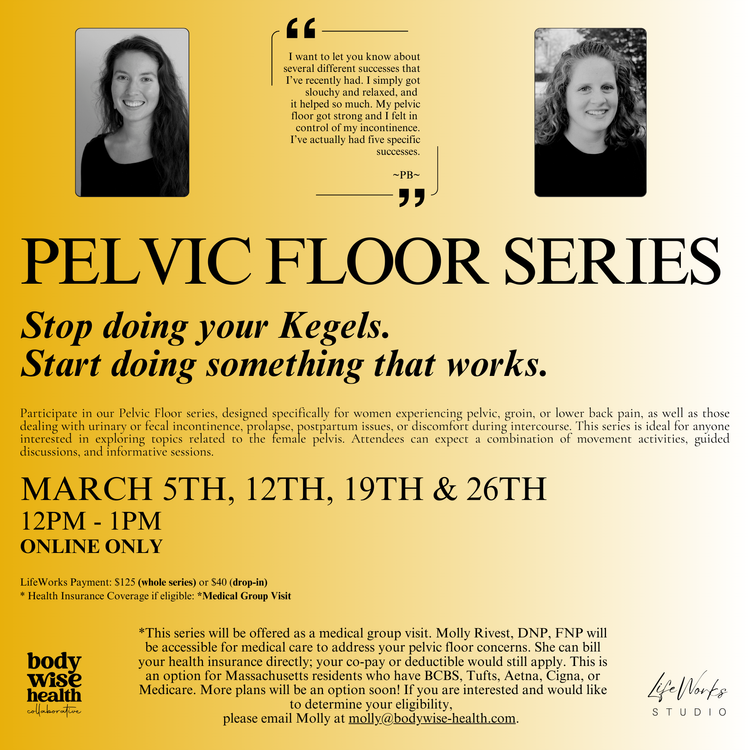 Pelvic Floor Workshops — LifeWorks Studio