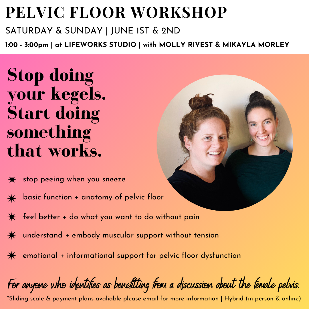 Pelvic Floor Workshops — Lifeworks Studio