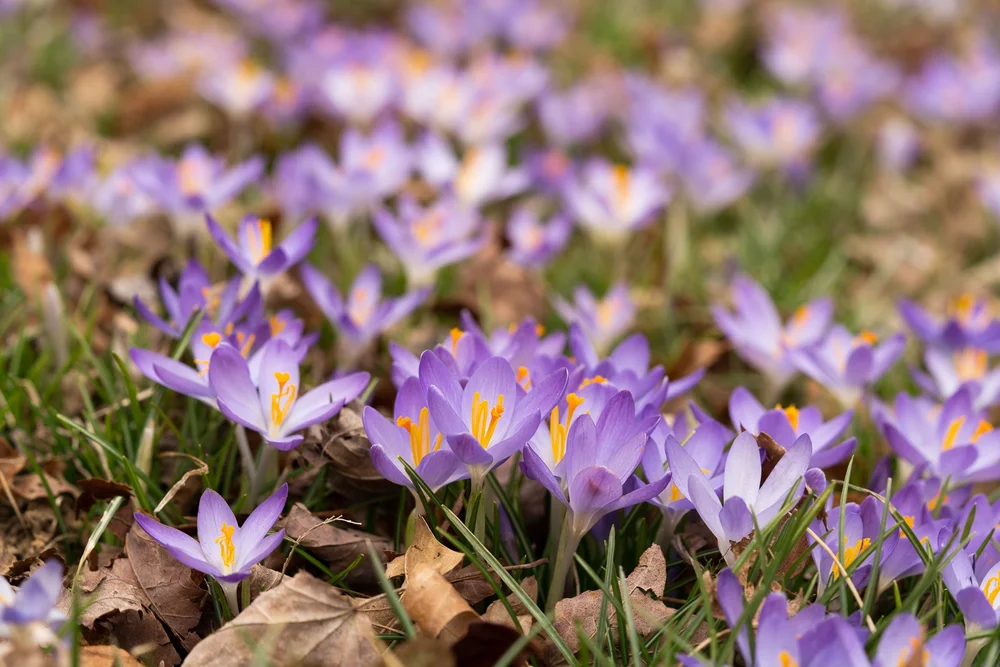 My Moonstone Kitchen