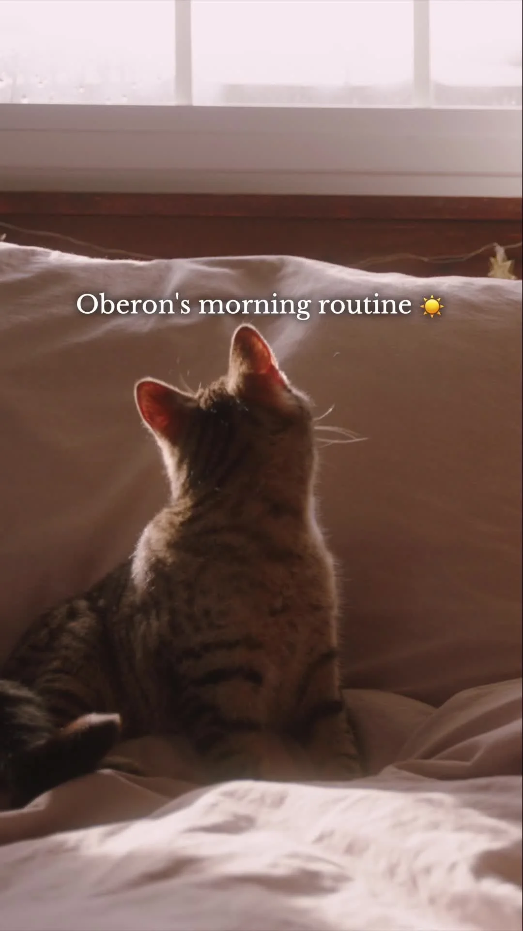 My Moonstone Kitchen