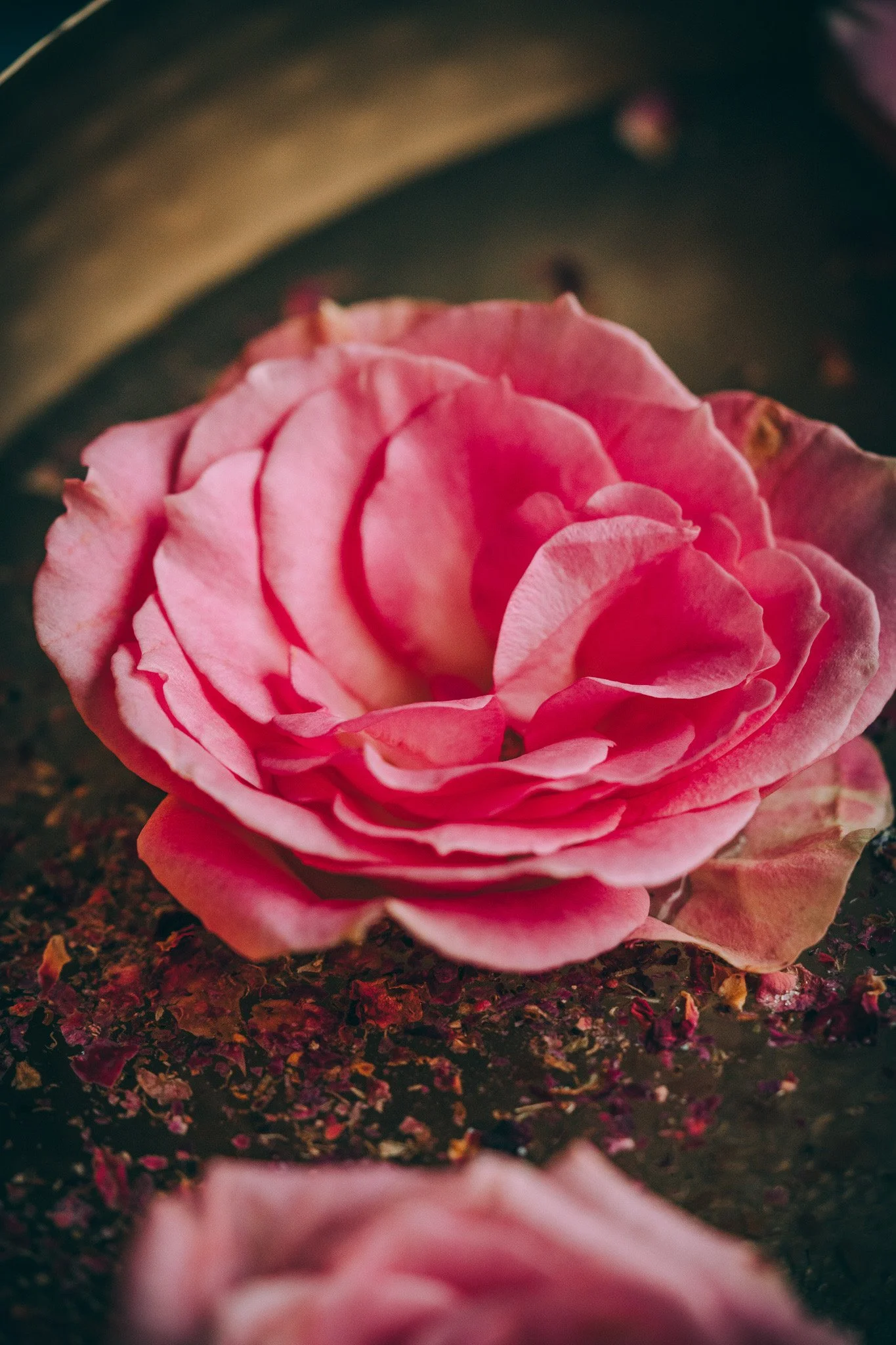 Rose Bath Salts — My Moonstone Kitchen